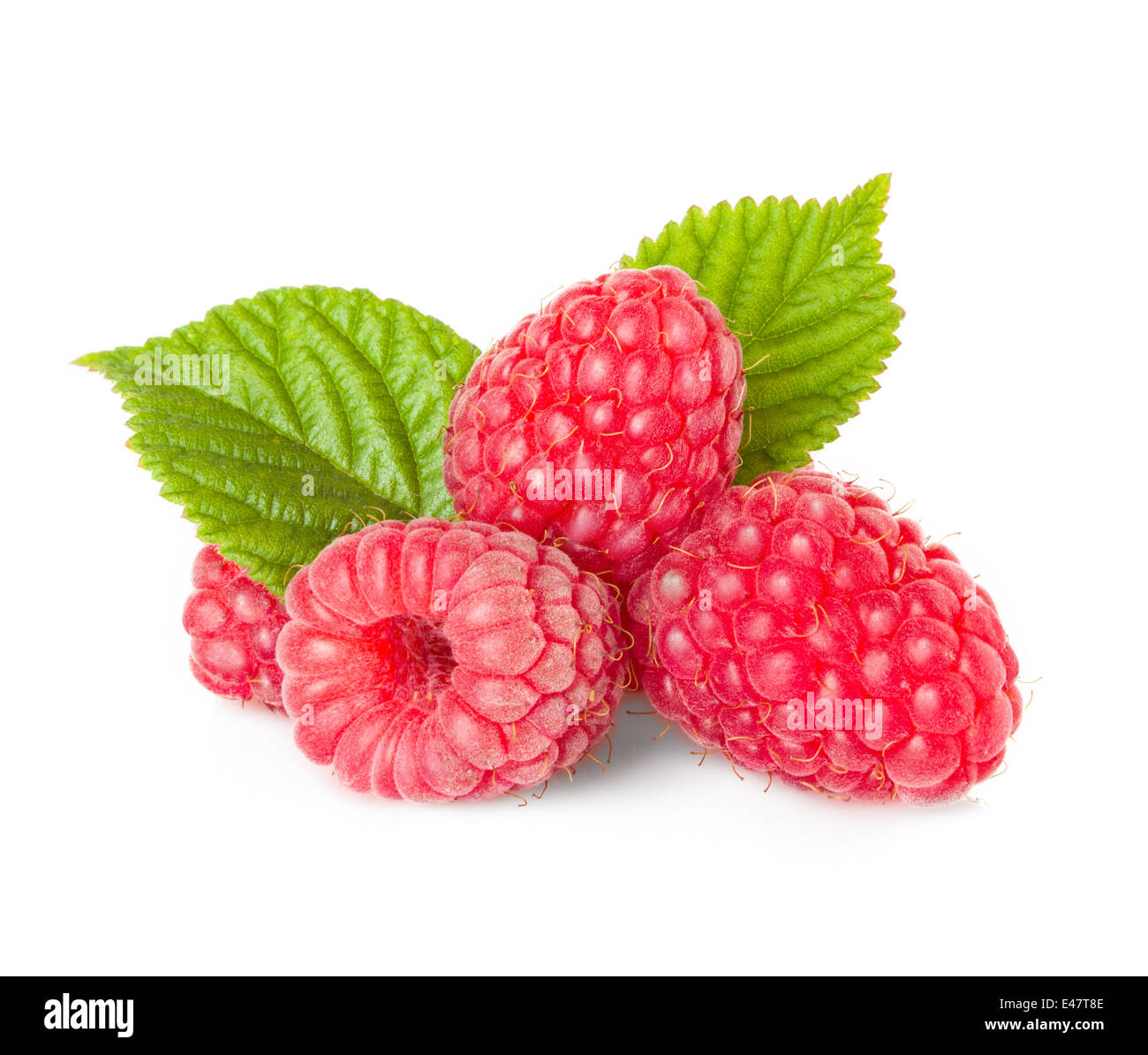 raspberry isolated on white background Stock Photo - Alamy