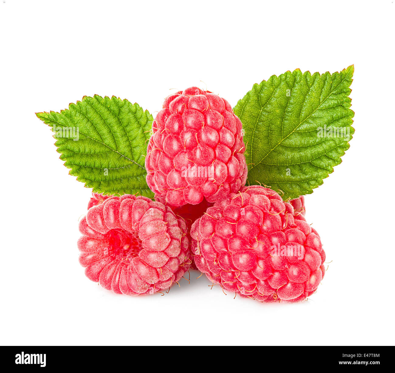 raspberry isolated on white background Stock Photo - Alamy