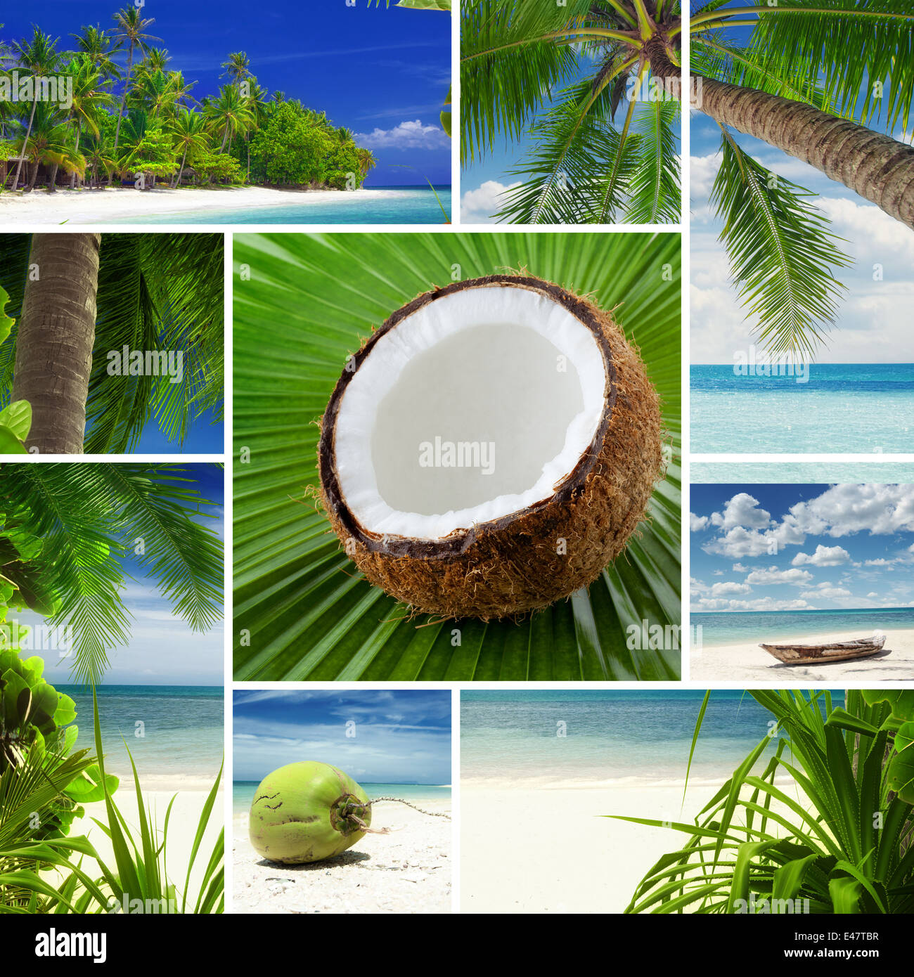 Tropic theme collage composed of different images Stock Photo - Alamy
