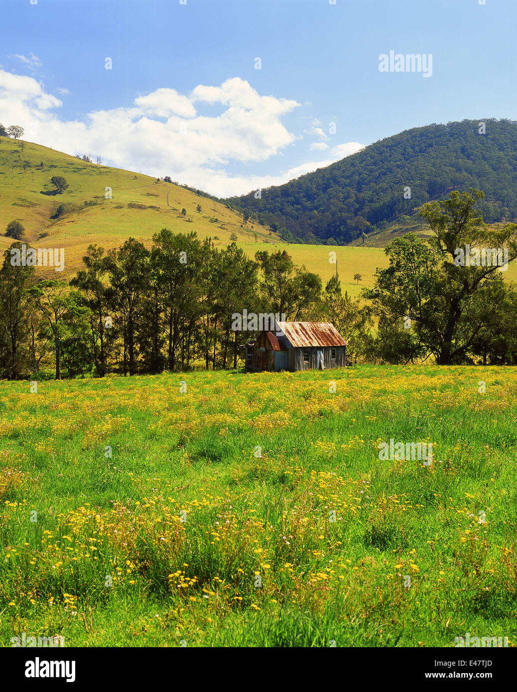Gloucester tops hi-res stock photography and images - Alamy