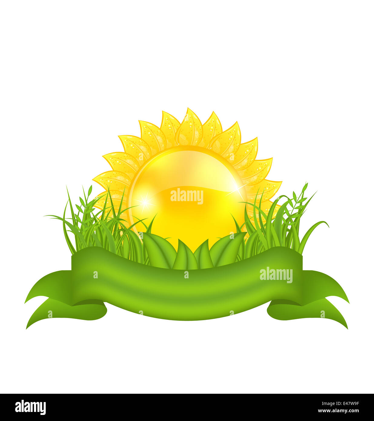 Illustration nature symbols - sun, green leaves, grass, ribbon - vector ...
