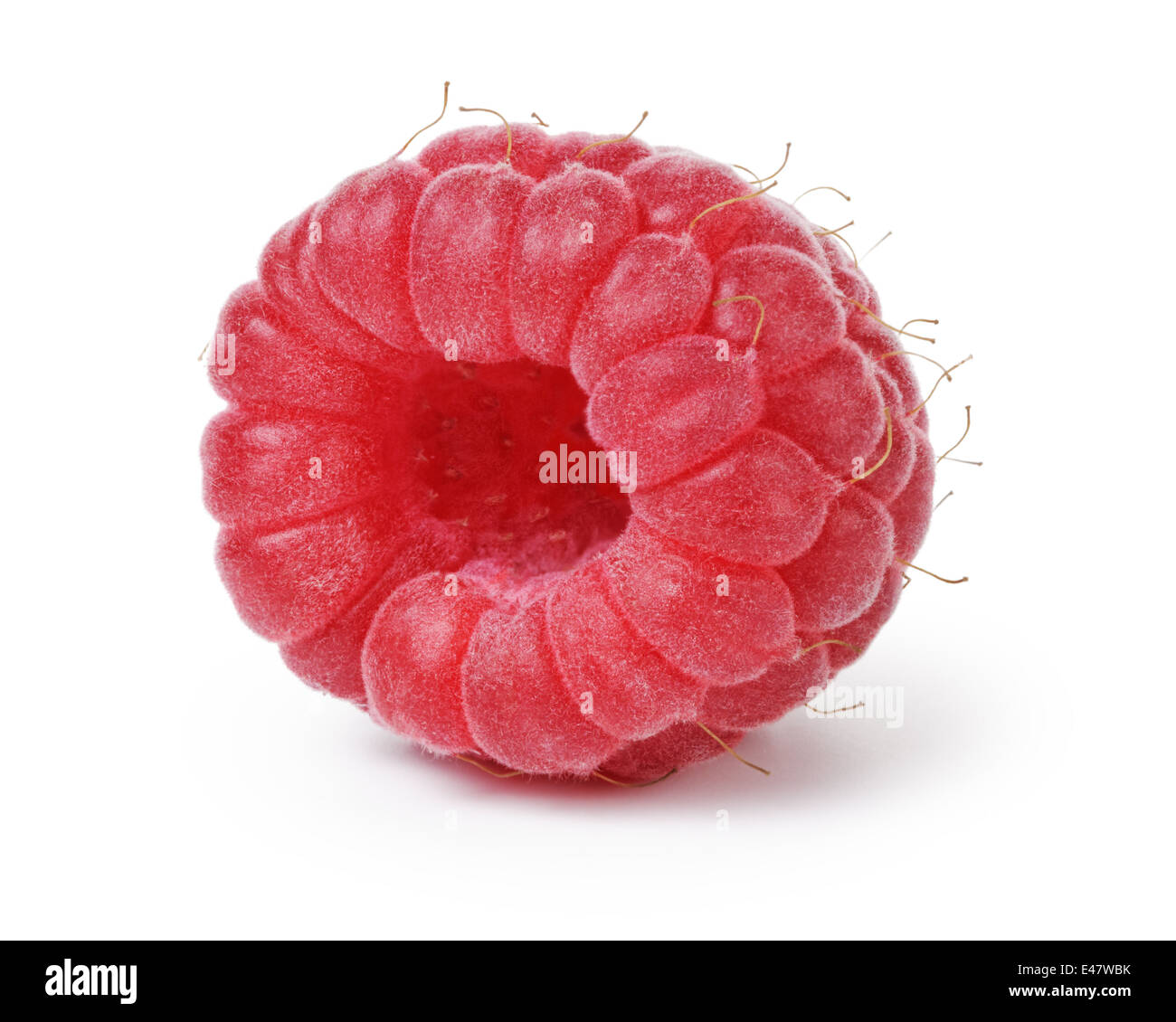 single raspberry high detailed, isolated on white Stock Photo - Alamy