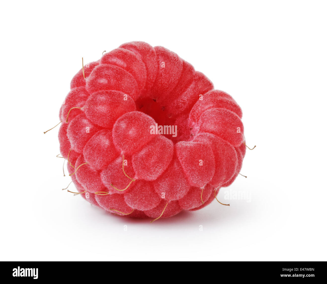 single raspberry high detailed, isolated on white Stock Photo - Alamy