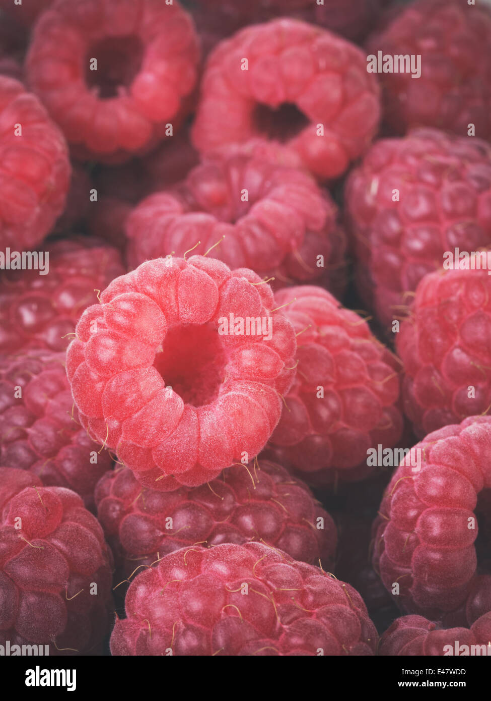 ripe red raspberries background, natural organic berries Stock Photo ...