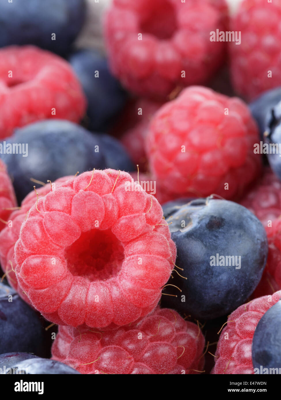 ripe blueberries and raspberries, natural organic berries Stock Photo ...