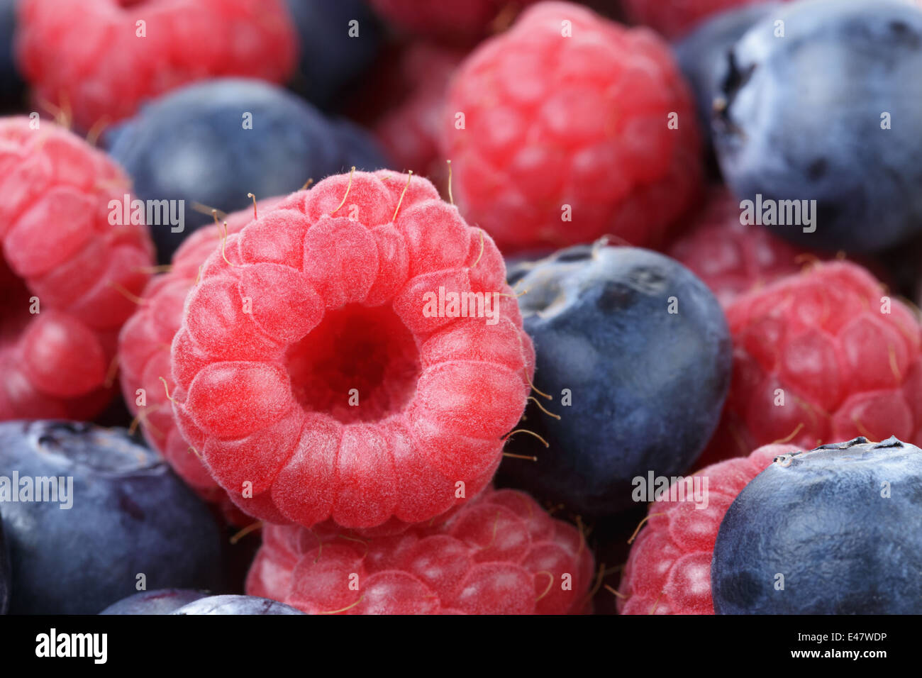 ripe blueberries and raspberries, natural organic berries Stock Photo ...