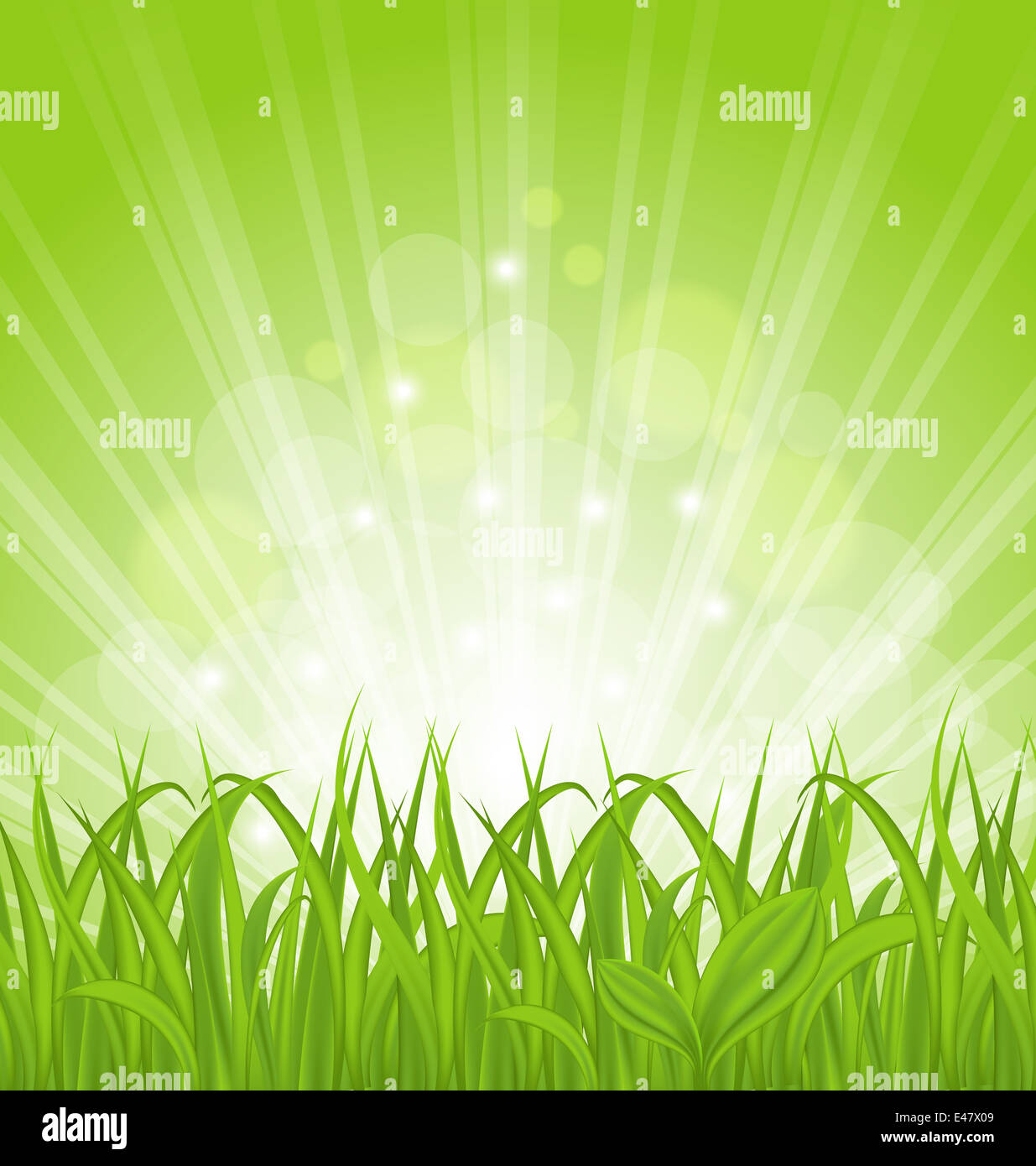Illustration spring background with green grass - vector Stock Photo ...