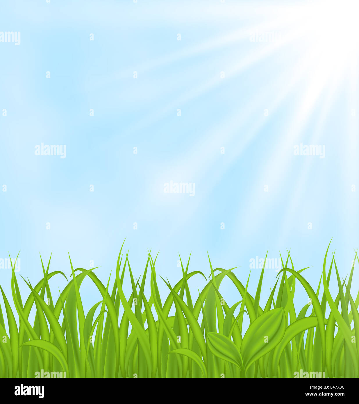 Illustration spring background with green grass - vector Stock Photo ...