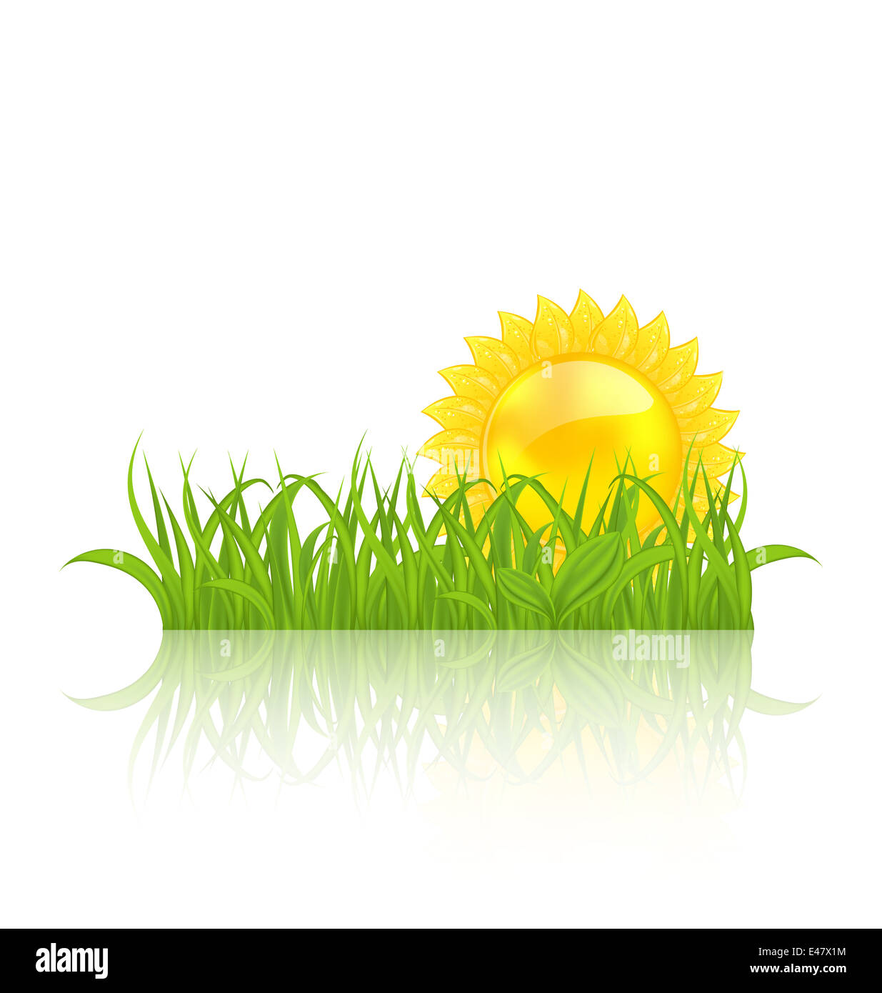 Illustration meadow with green grass and yellow sun - vector Stock ...