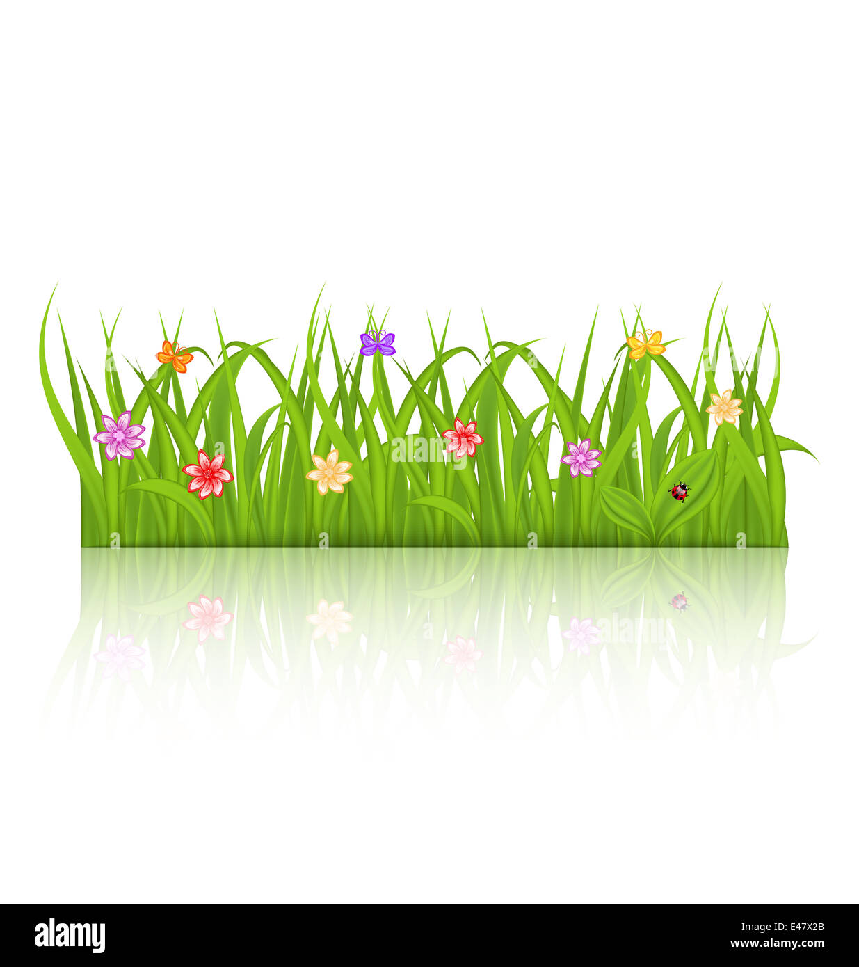 Illustration green grass with flower isolated on white background ...