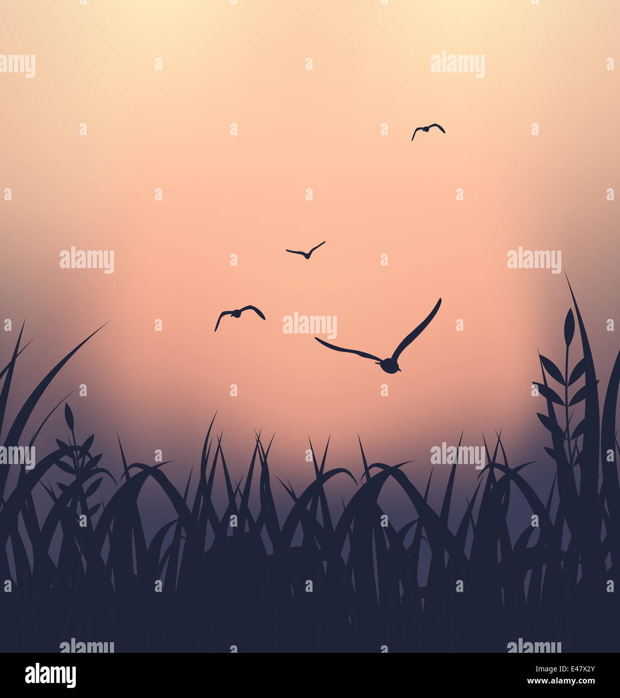 Illustration landscape with grass and flying seagulls - vector Stock ...