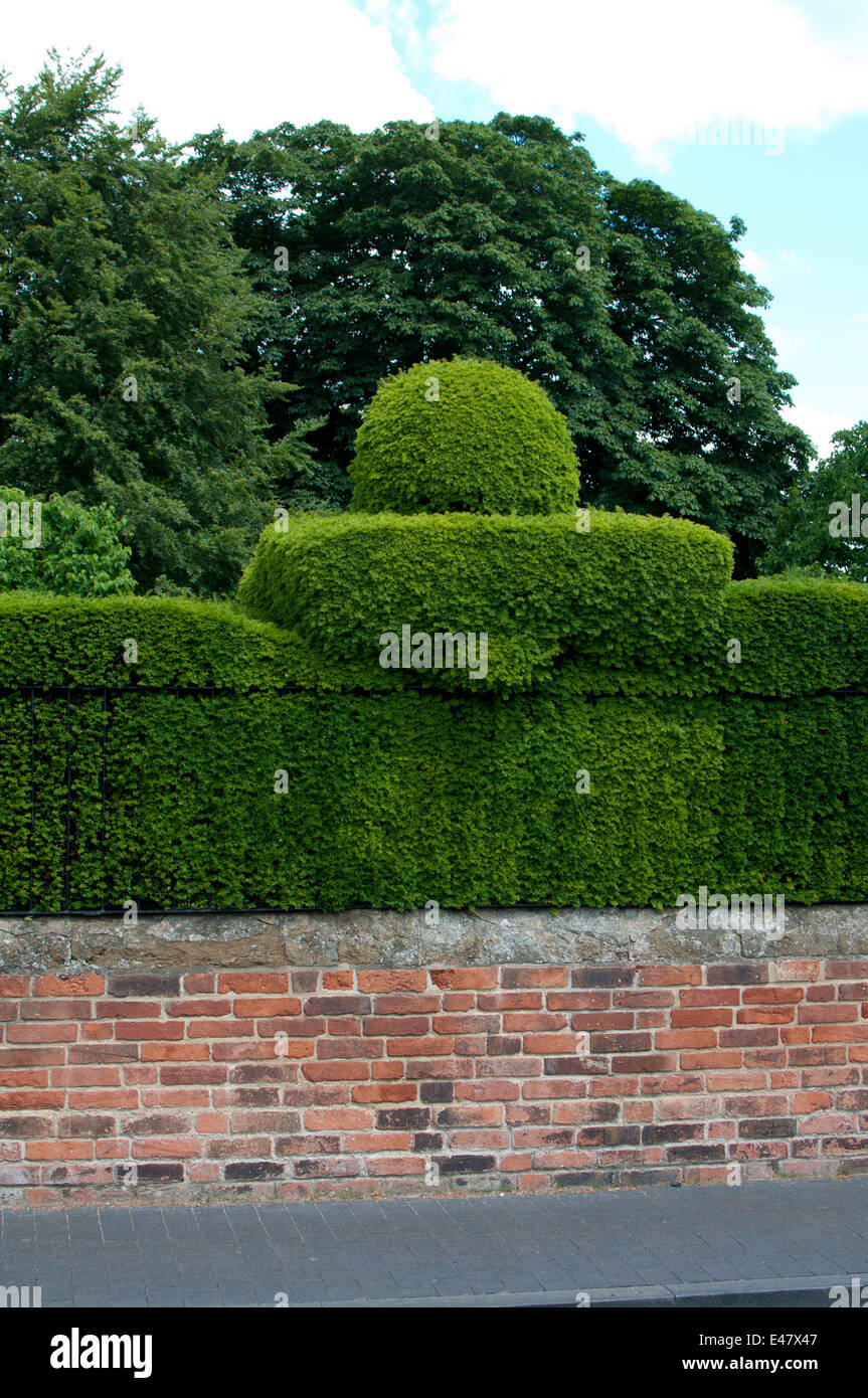 Yew hedge hi-res stock photography and images - Alamy