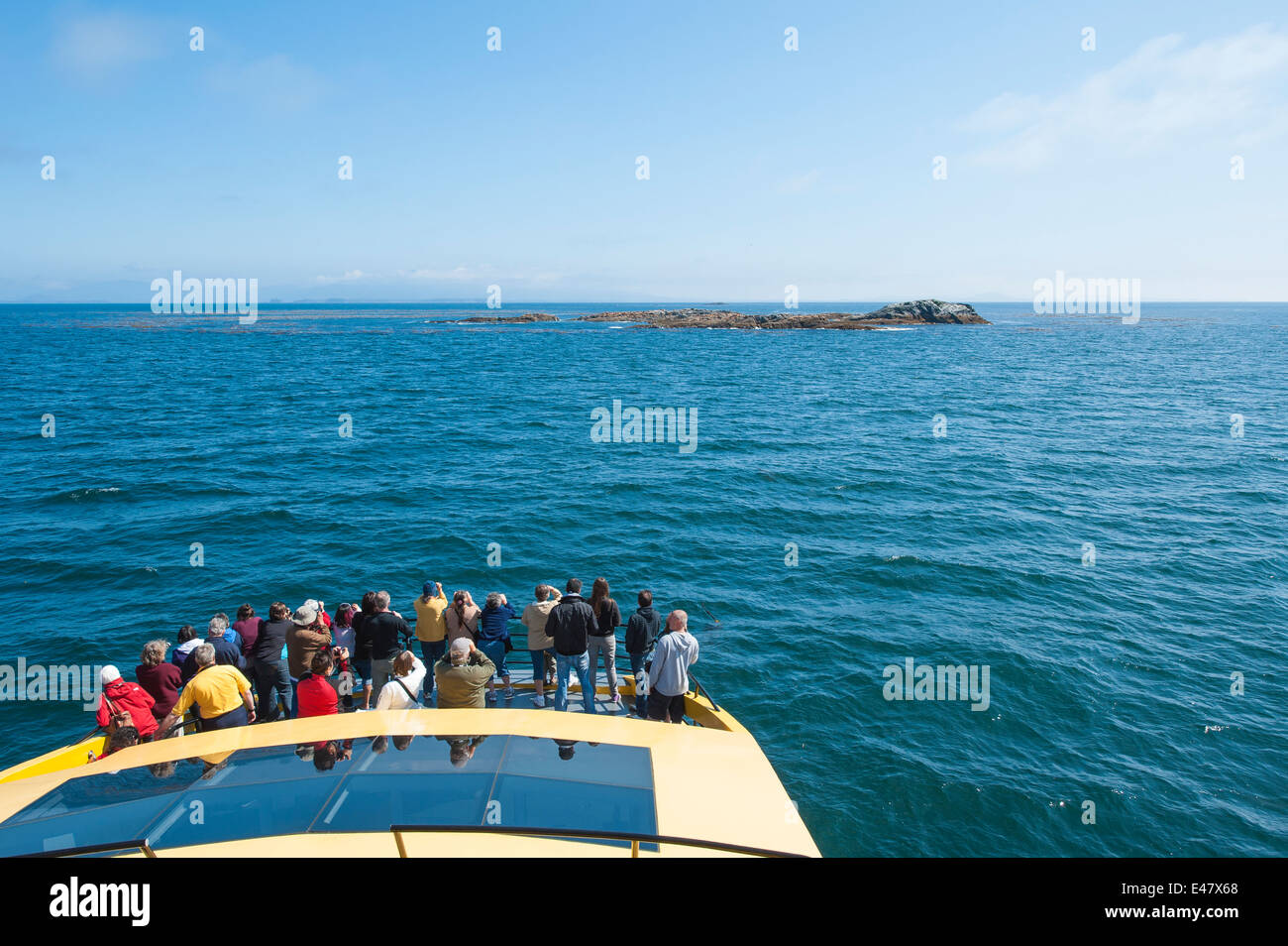 WIldlife steller sea lion viewing sea tour Prince Rupert, British ...