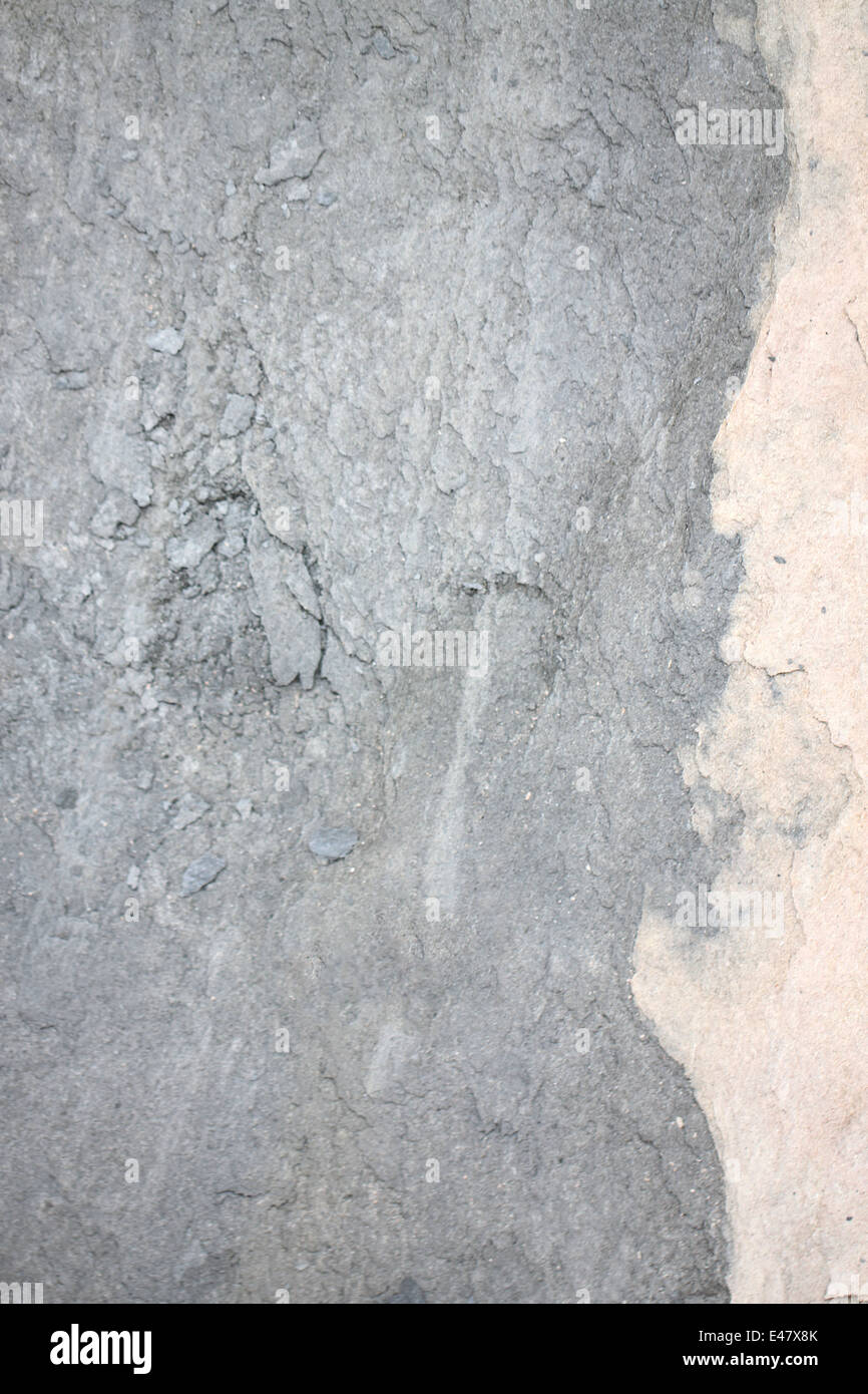 Texture of old stone walkway in garden for the background Stock Photo ...