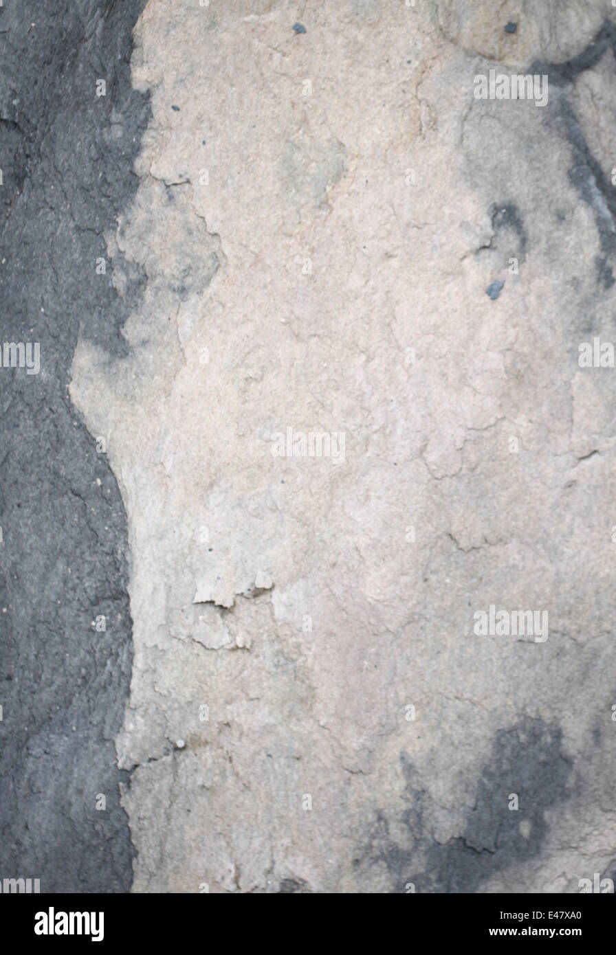 Texture of old stone walkway in garden for the background Stock Photo ...