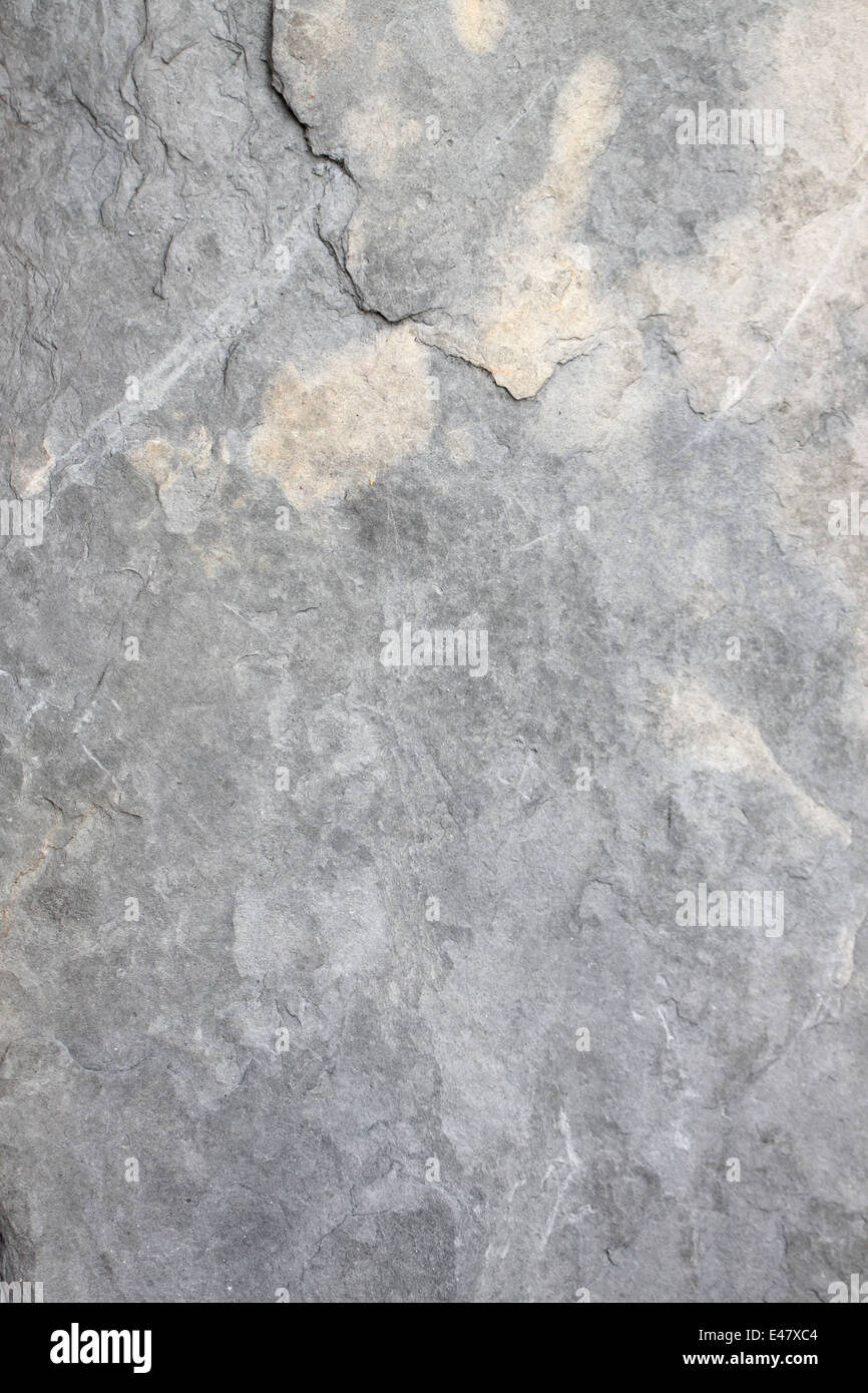 Texture of old stone walkway in garden for the background Stock Photo ...