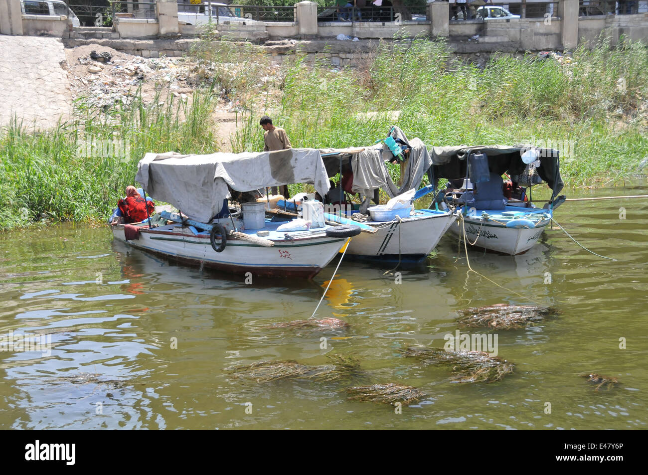Fishing on the river nile in Egypt Stock Photo - Alamy