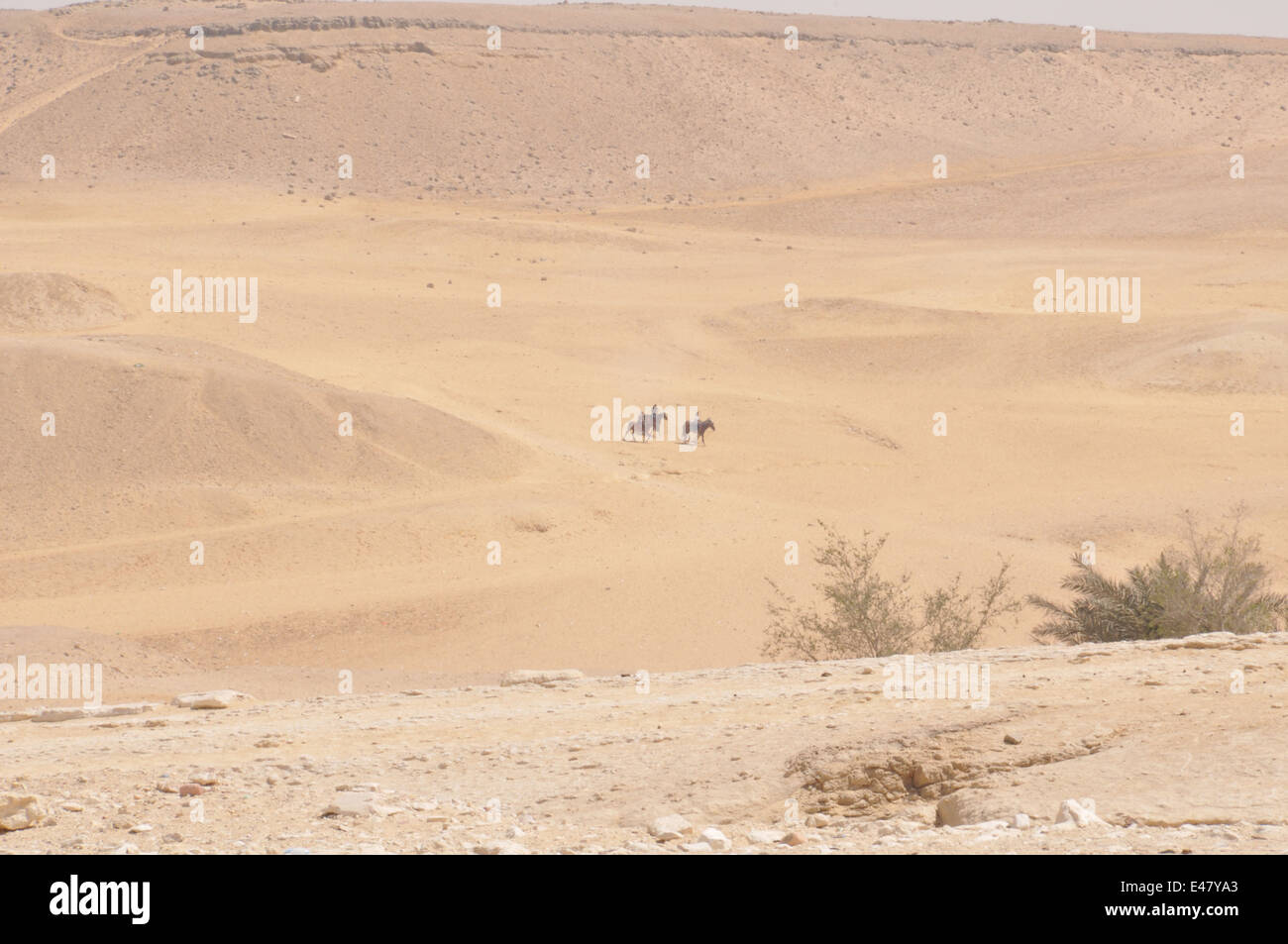 The Desert in Egypt Stock Photo - Alamy