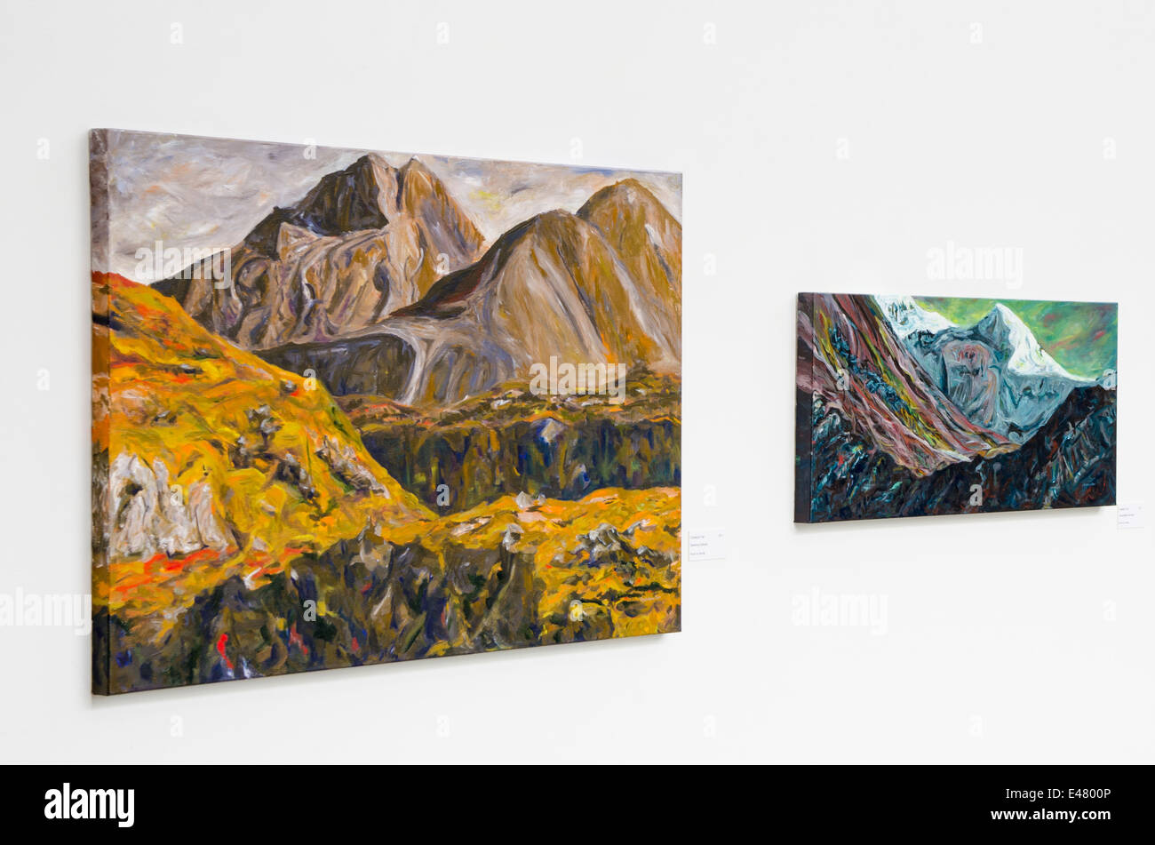 Oil paintings at the Two Rivers art Gallery, Prince George, British ...