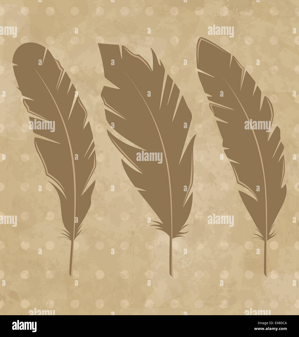 Illustration set vintage feathers on grunge background - vector Stock ...