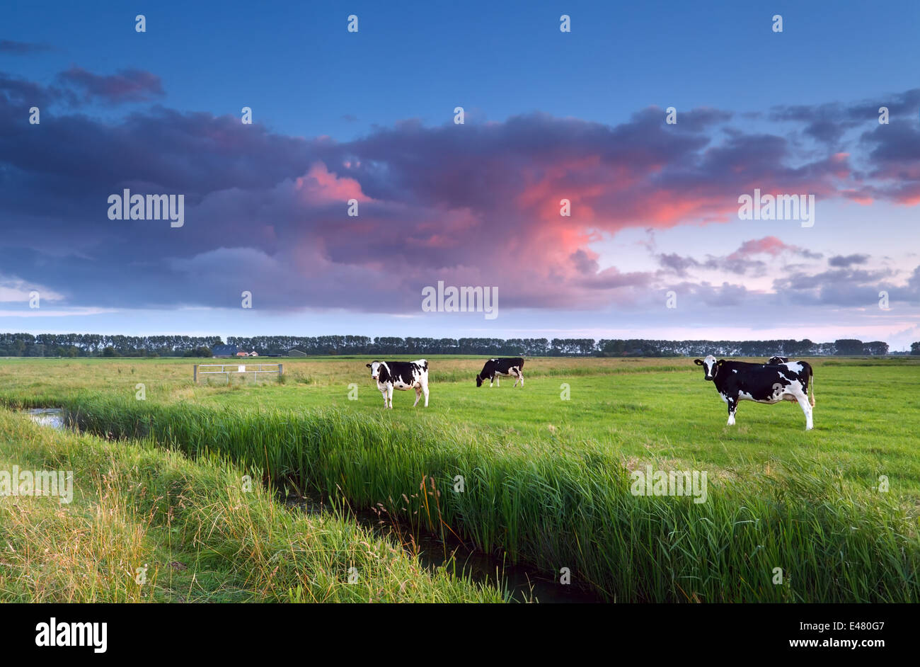 Pastoral sunset hi-res stock photography and images - Alamy
