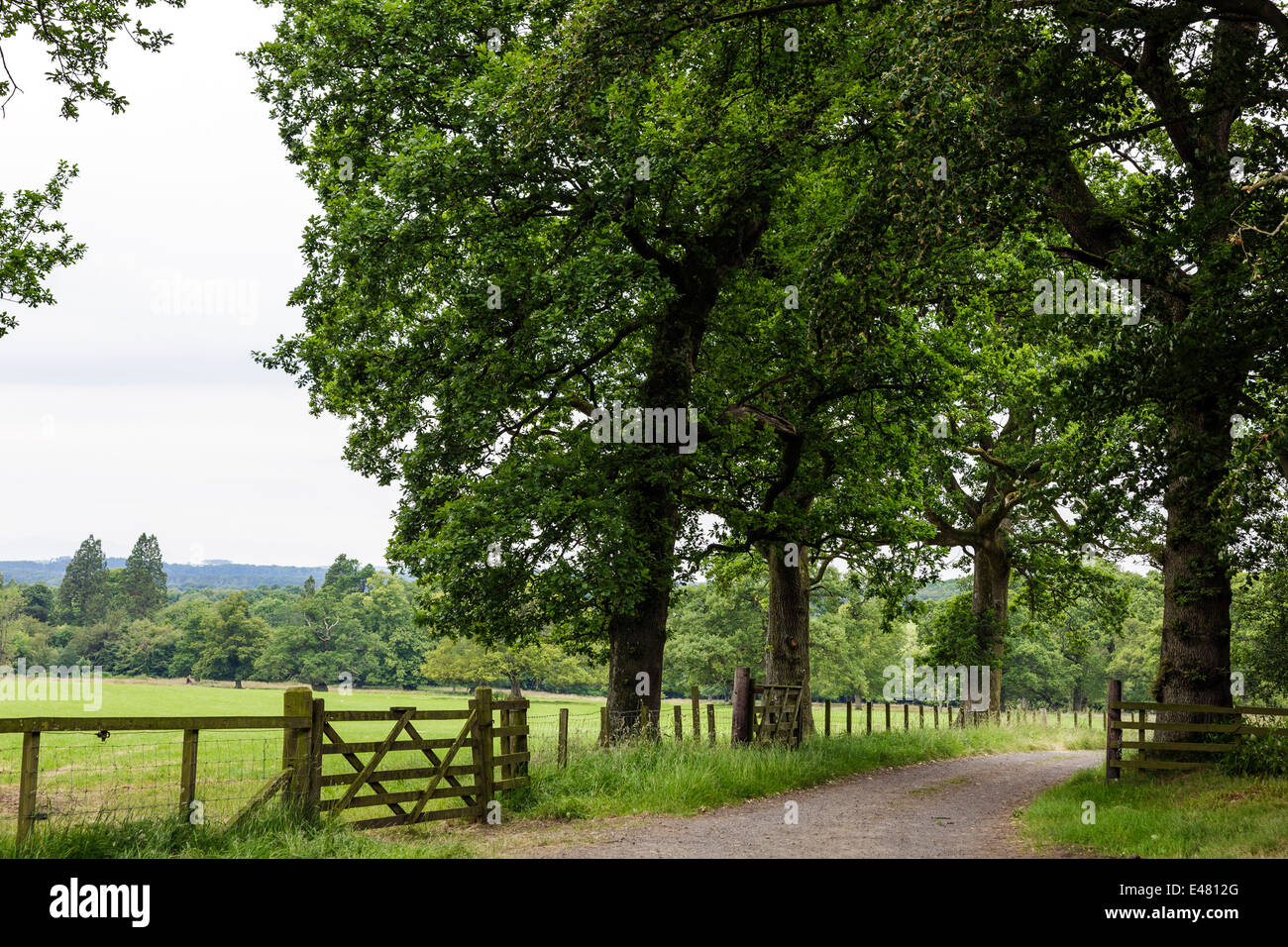 General view of the Ayrshire countryside with a country path through ...