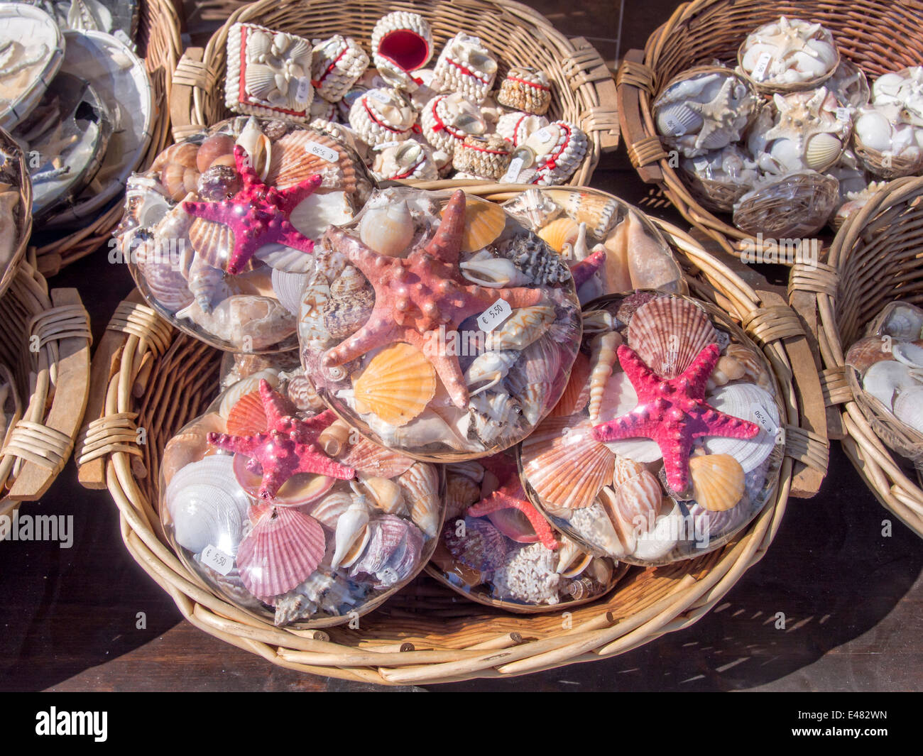 Sea shells and starfish for sale Stock Photo - Alamy
