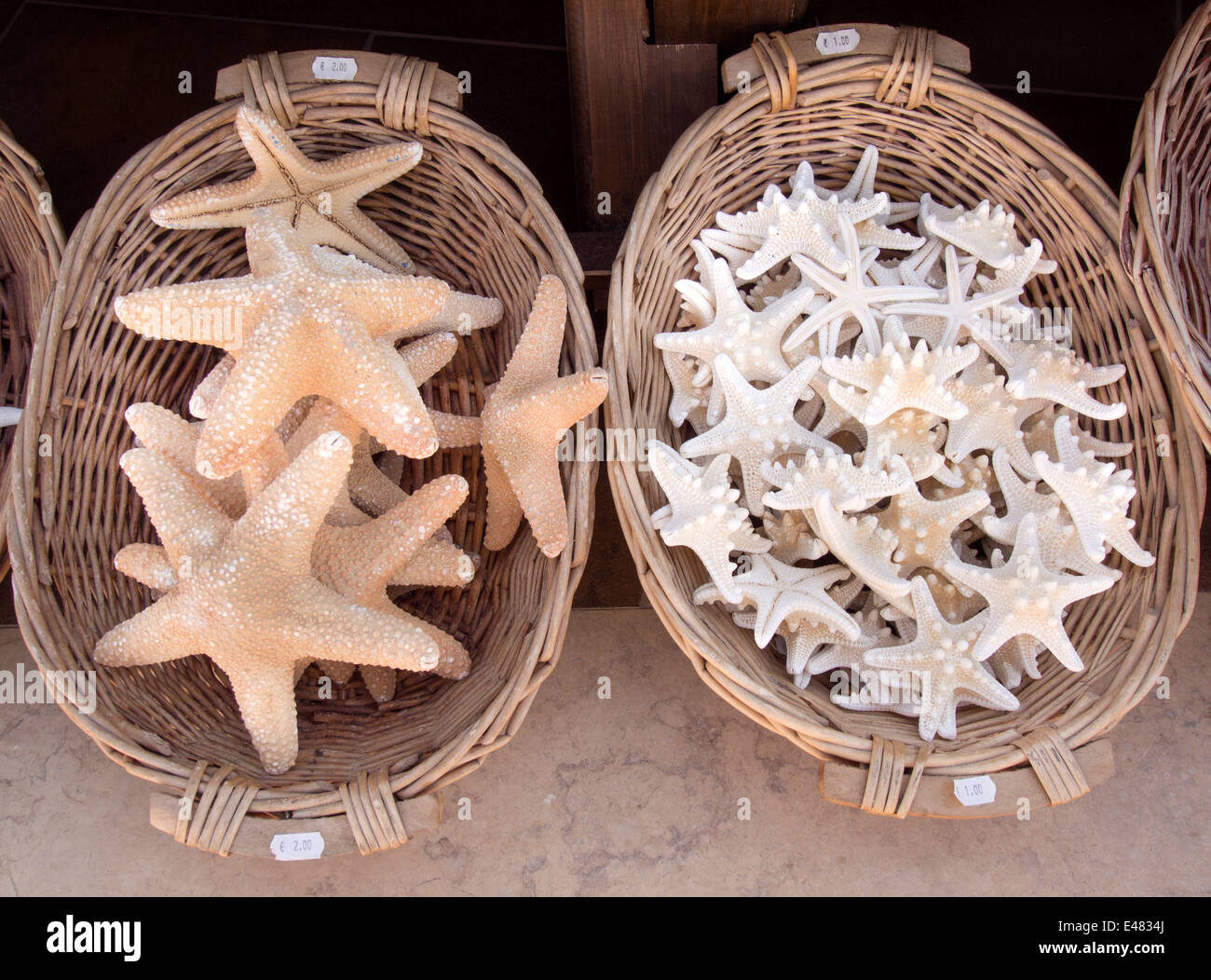 Seashell Shop Stock Photos & Seashell Shop Stock Images - Alamy