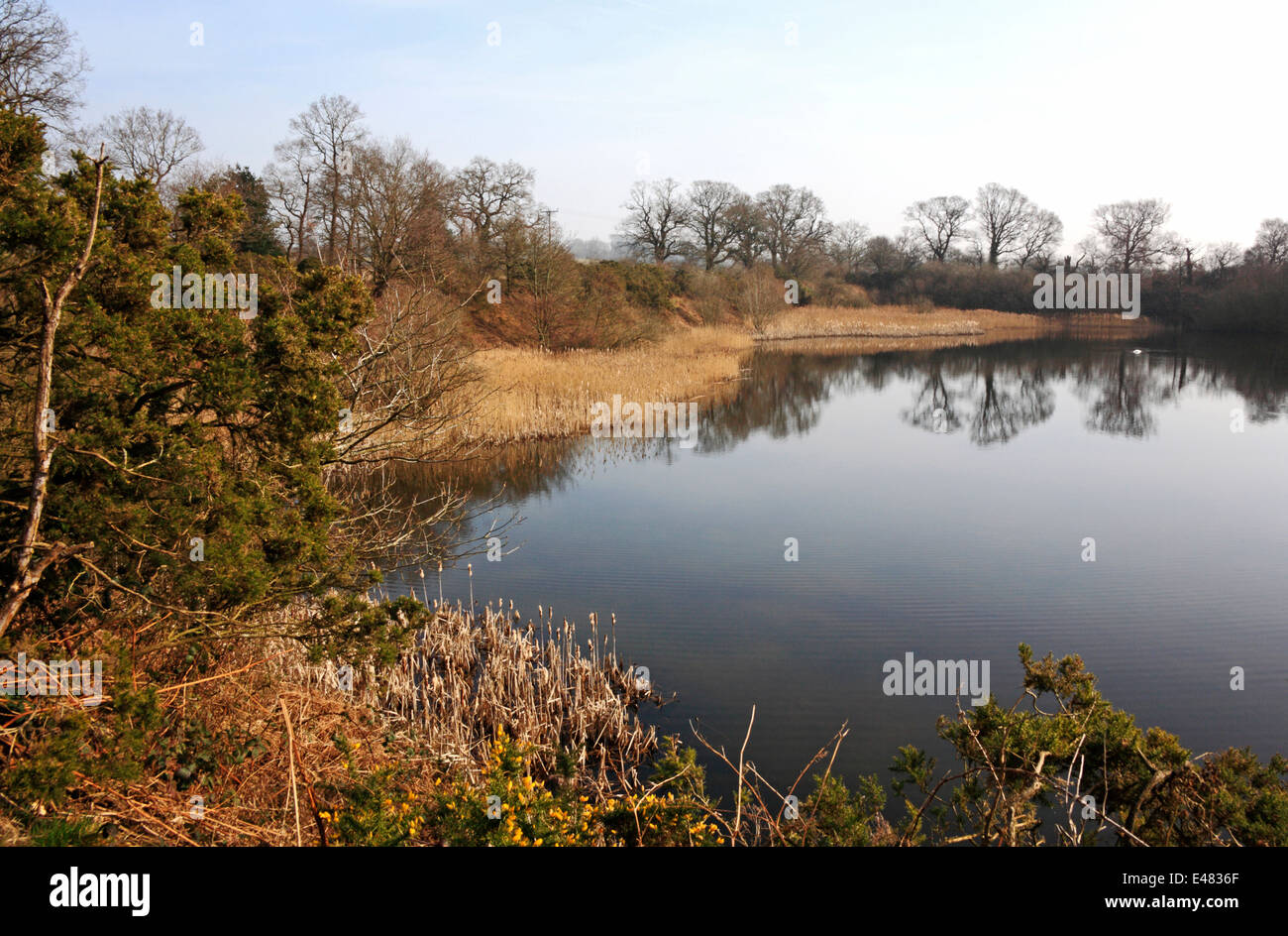 Sparham pools norfolk hi-res stock photography and images - Alamy