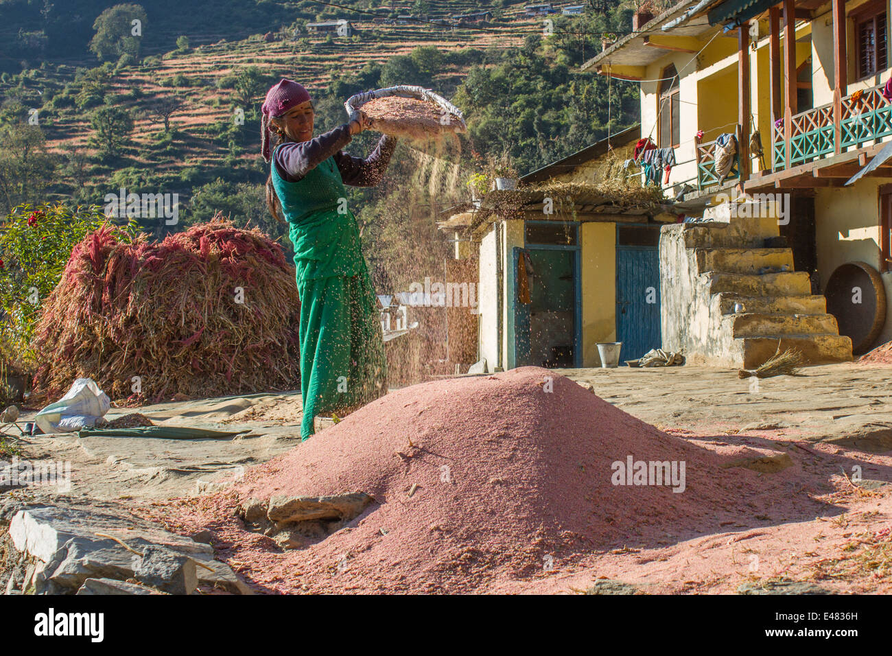 Winnowing hi-res stock photography and images - Alamy