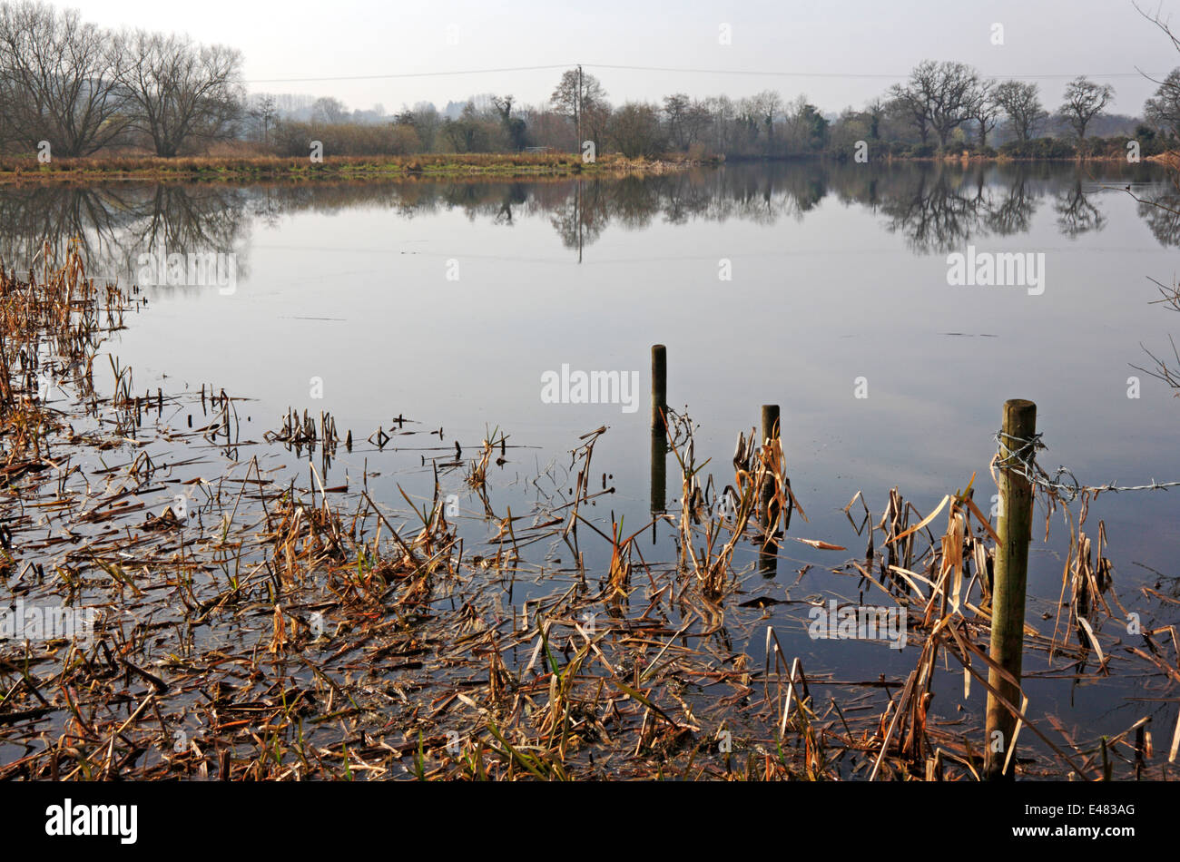 Sparham pools norfolk hi-res stock photography and images - Alamy