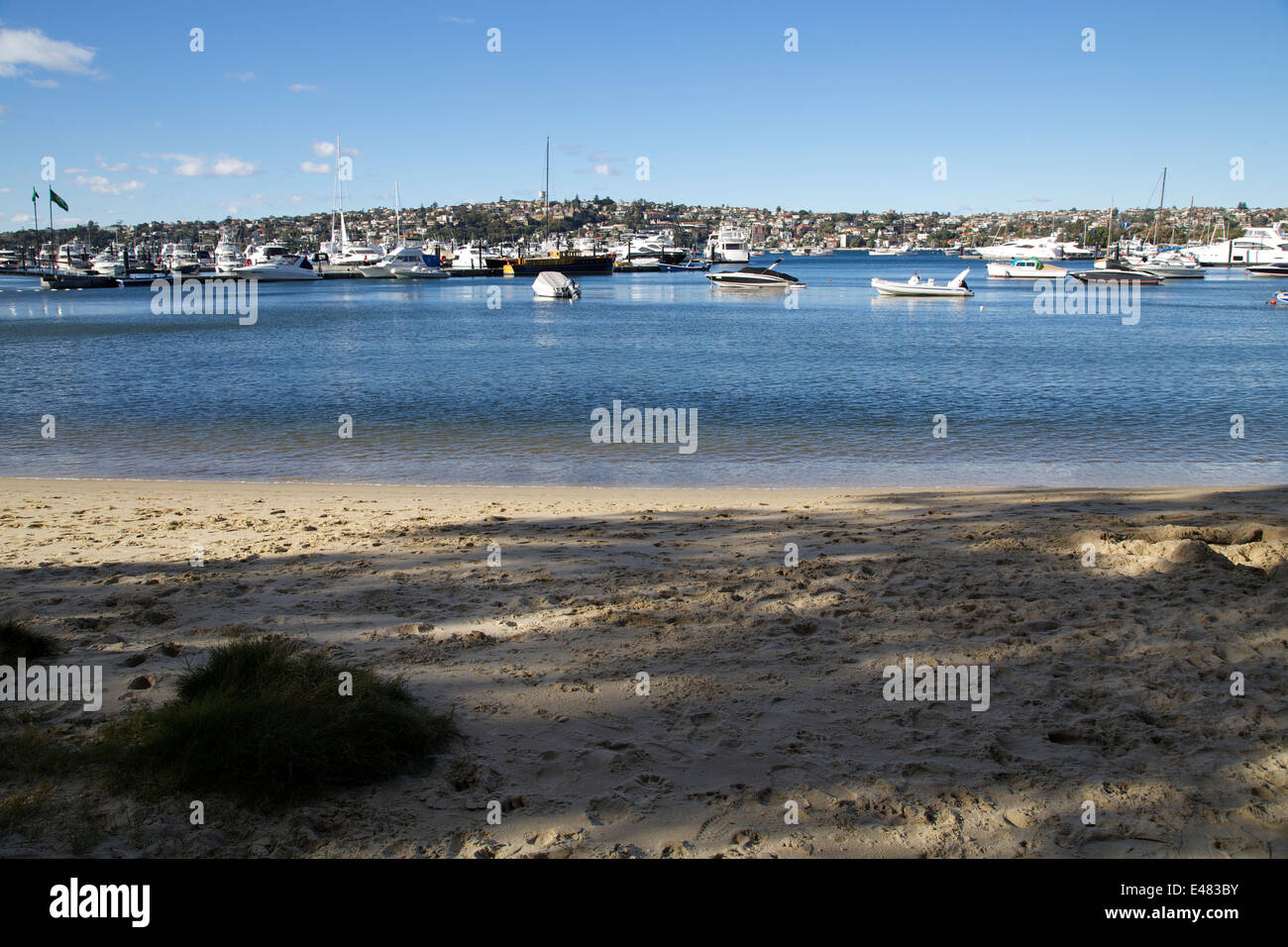 Beach rose bay park rose hi-res stock photography and images - Alamy