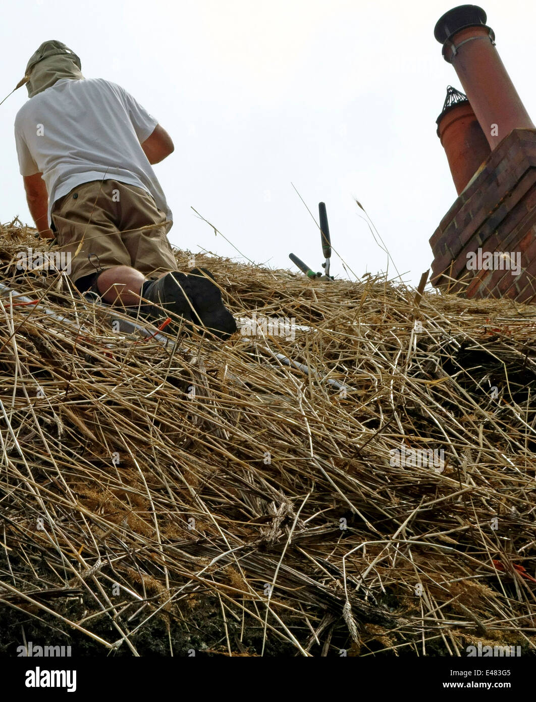 Master thatcher working on new roof in Somerset, England Stock Photo ...