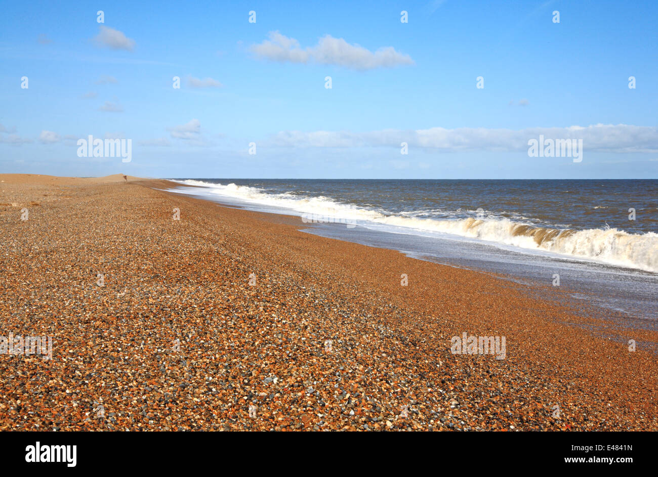 A view of the shingle beach and ridge regenerating at Salthouse ...