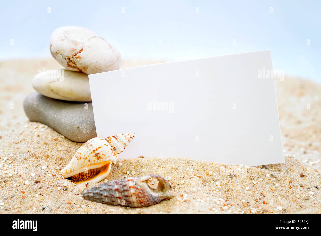 Seashells with blank card Stock Photo - Alamy