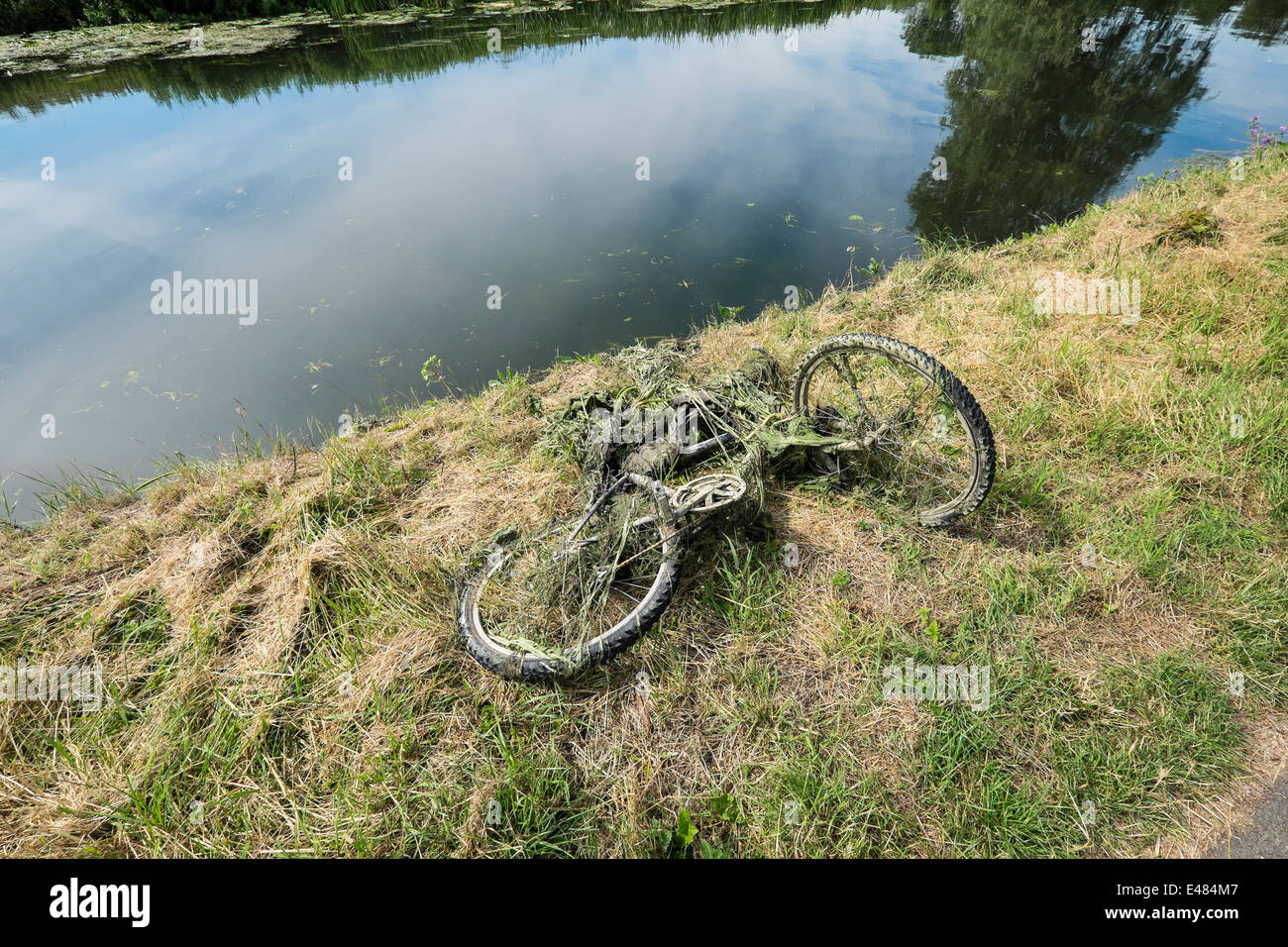 Weed covered bicycle hi-res stock photography and images - Alamy