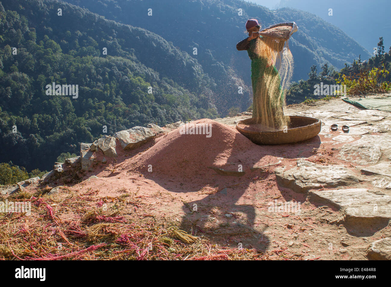 Winnowing hi-res stock photography and images - Alamy
