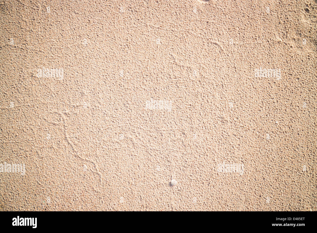 Natural background of sand floor, stock photo Stock Photo - Alamy