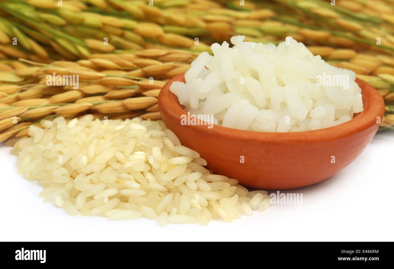 Golden paddy seeds with cooked rice over white background Stock Photo ...