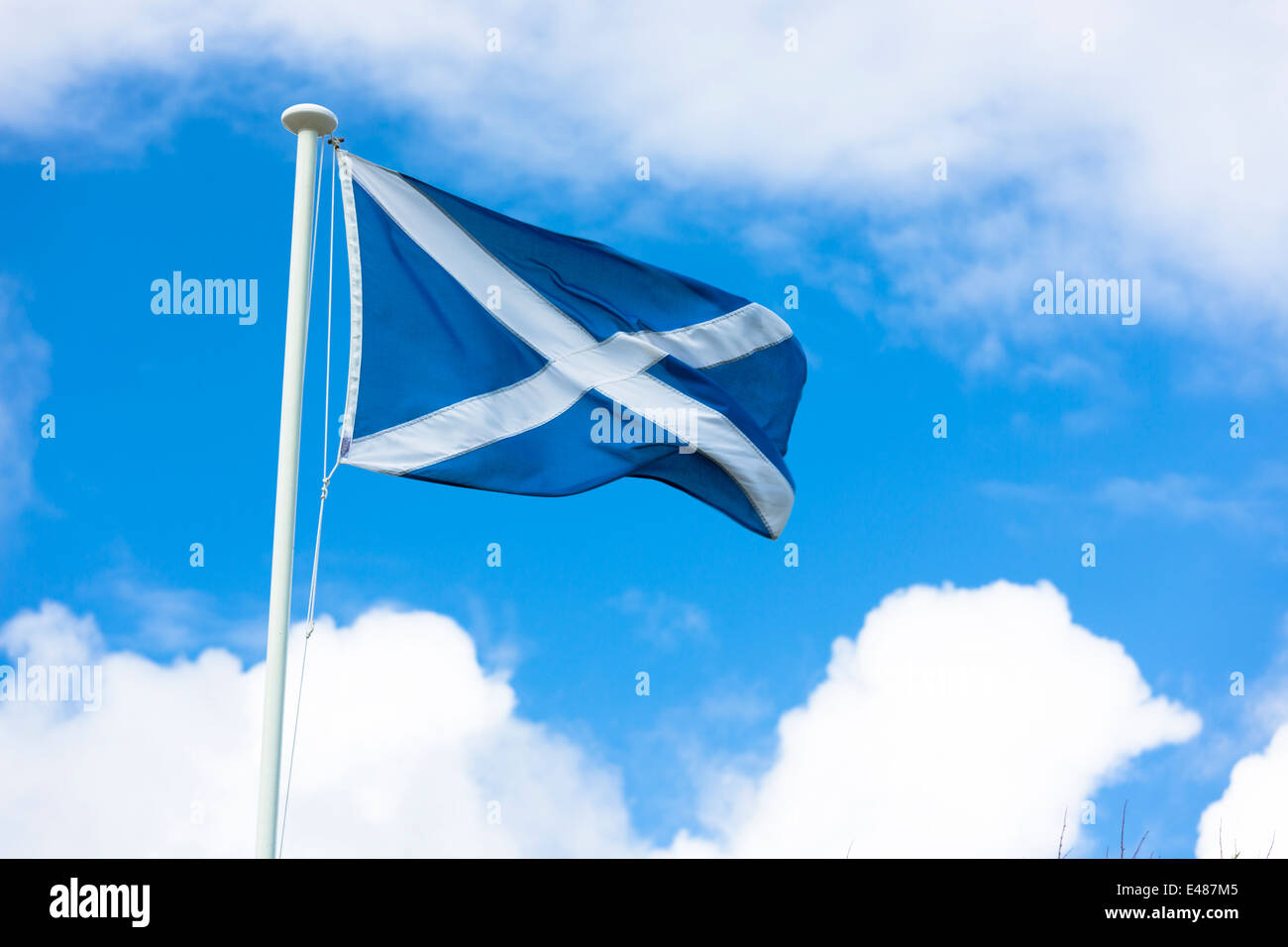 Saltire flag of St Andrew flying from flagpole as Scottish Referendum ...