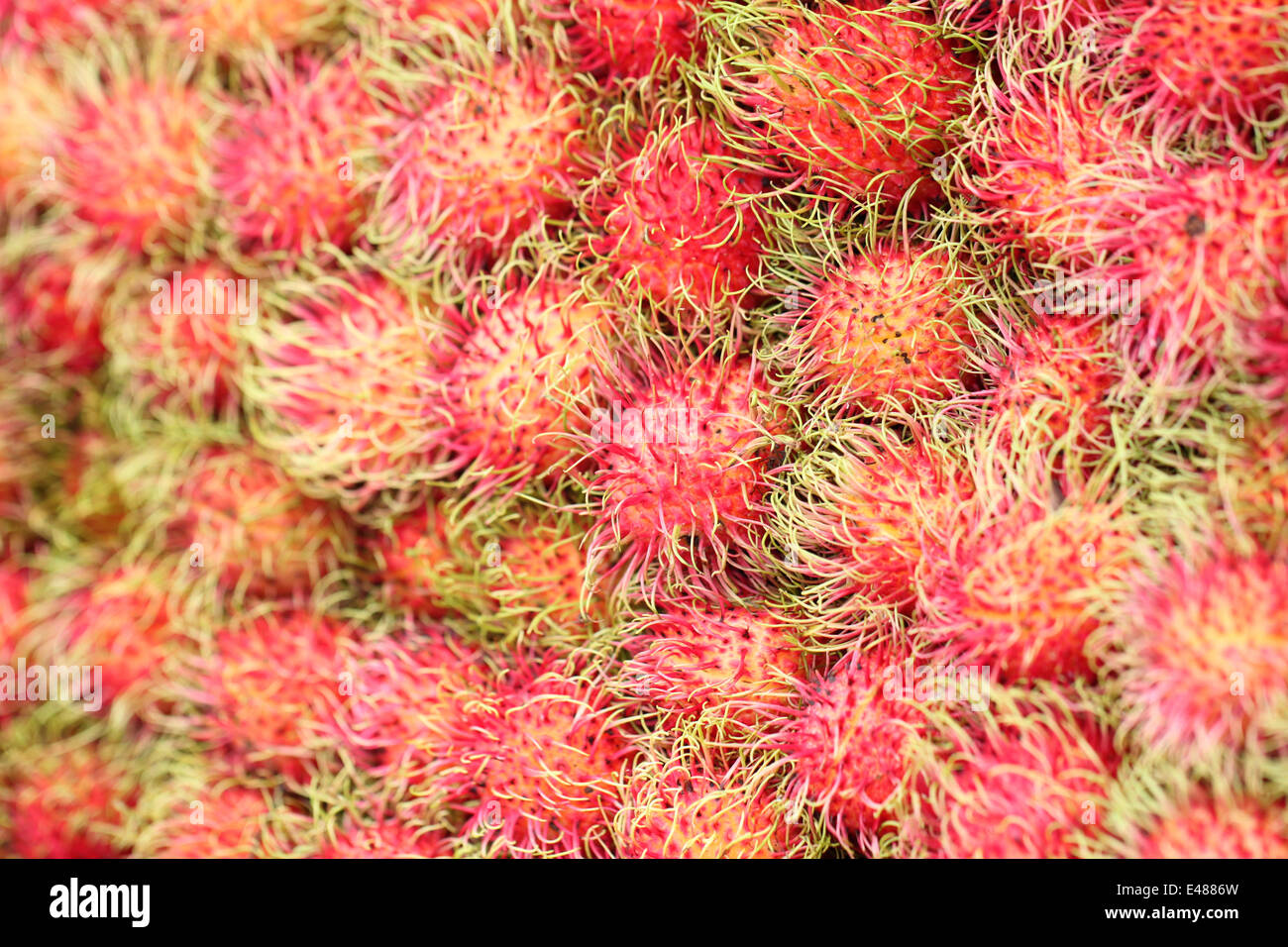 Pile of fresh rambutan in the market Stock Photo - Alamy