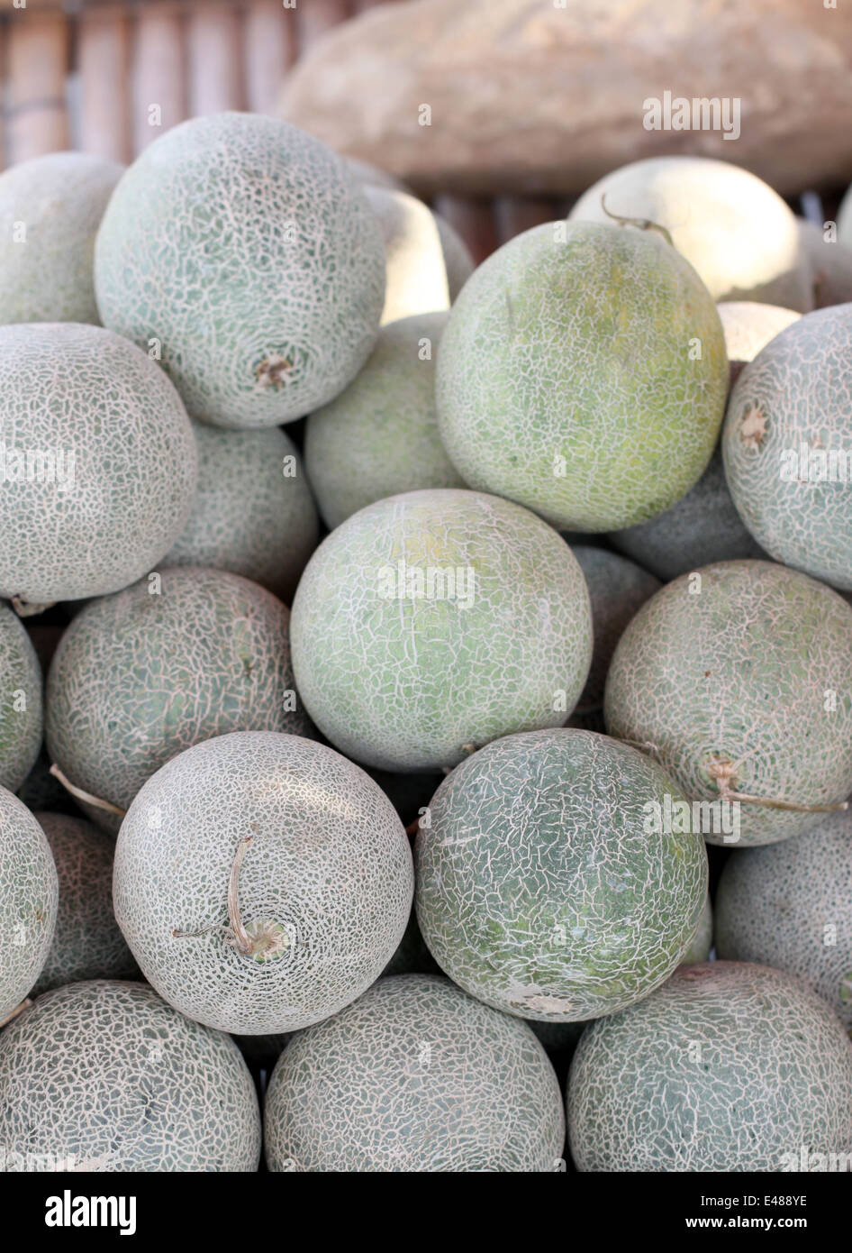 many green melons for foods background Stock Photo - Alamy
