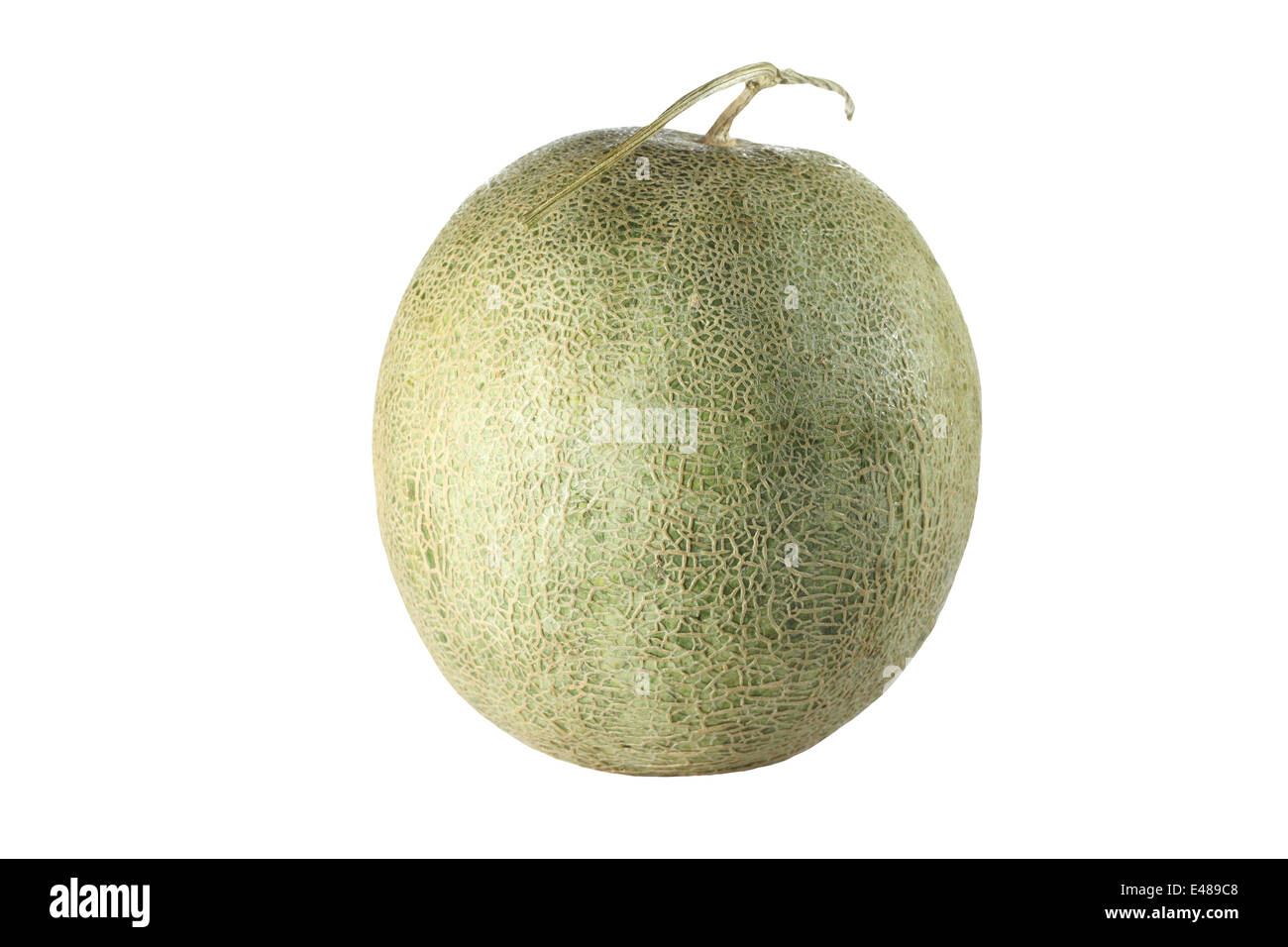 Fresh fruit of melon isolated on white background Stock Photo - Alamy