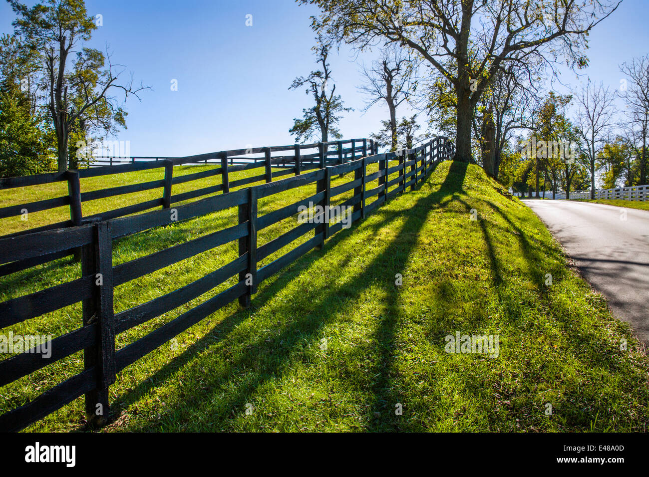 Strong Shadows Fall Forward Along A Backlit Fence Line And Country Lane ...