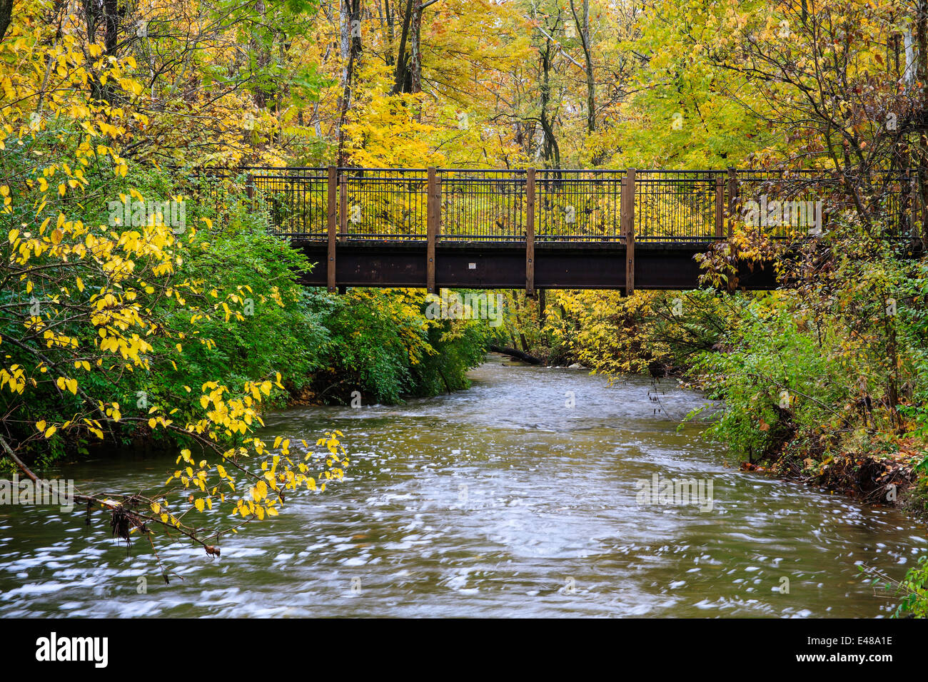 A Foot Bridge Over A River In Autumn At The Park, Sharon Woods ...