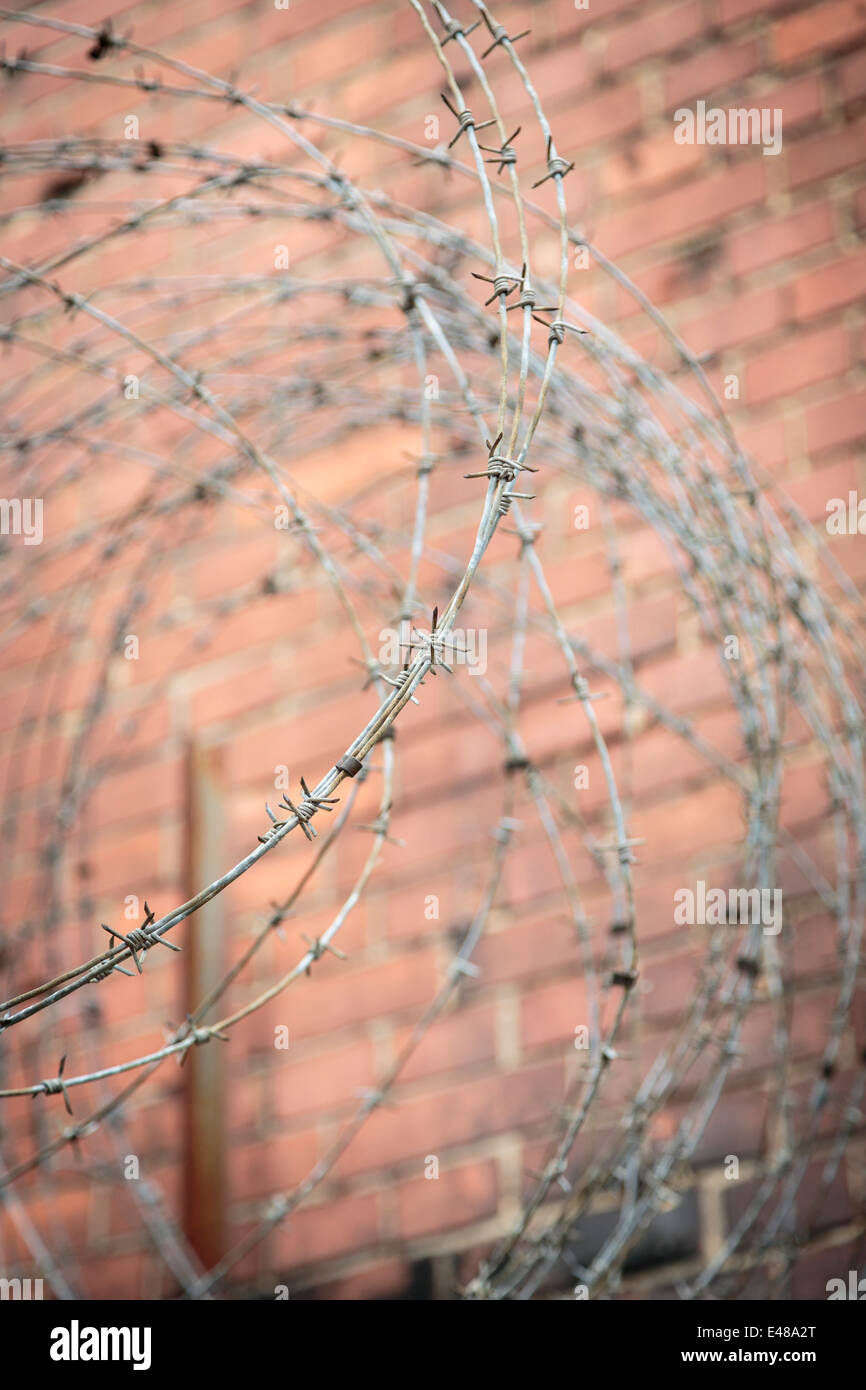 barb wire with red brick wall in background Stock Photo - Alamy