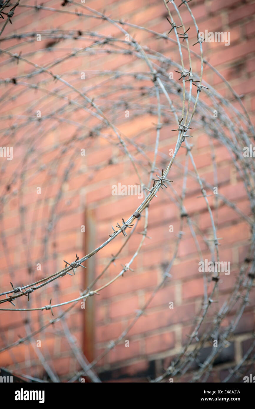 barb wire with red brick wall in background Stock Photo - Alamy