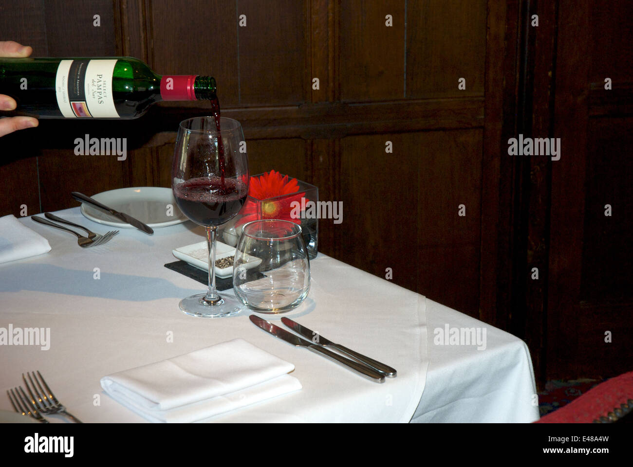 Fine dining restaurant food preparation Devon UK. Set of approx 30 ...