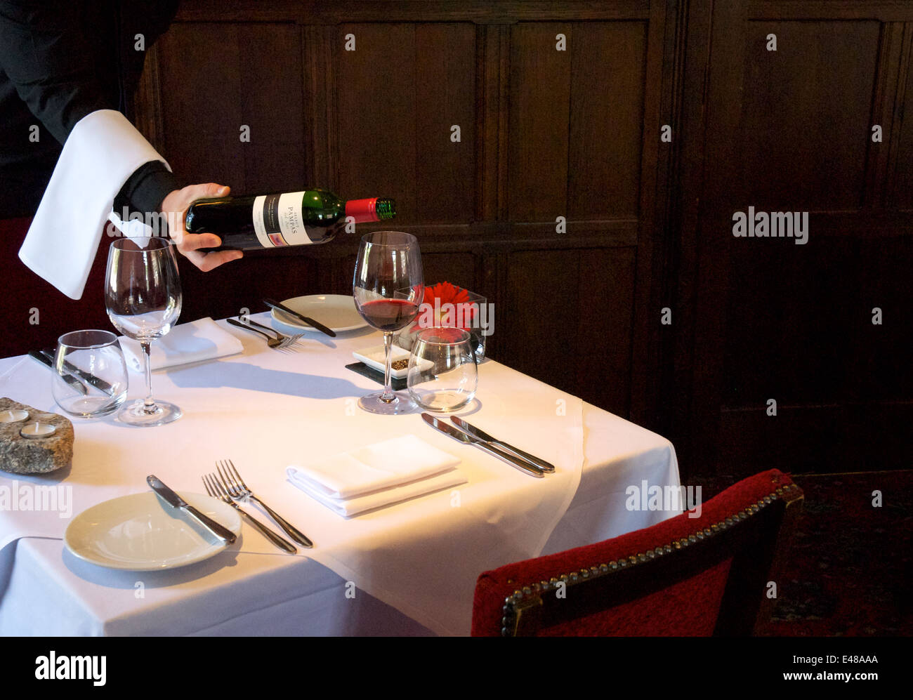 Fine dining restaurant food preparation Devon UK. Set of approx 30 ...