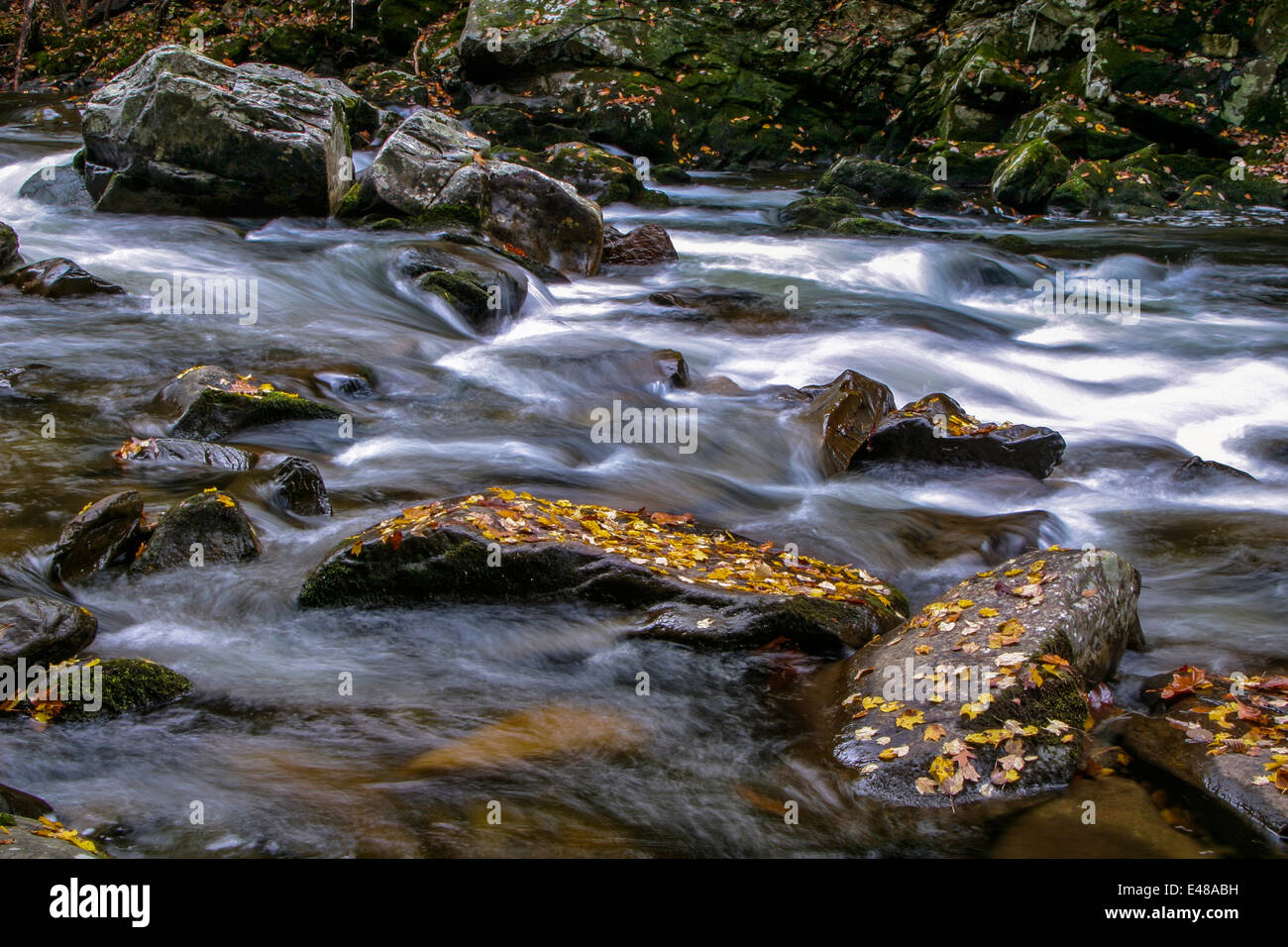River Water Rushing Over Rocks And Boulders In The Great Smoky ...